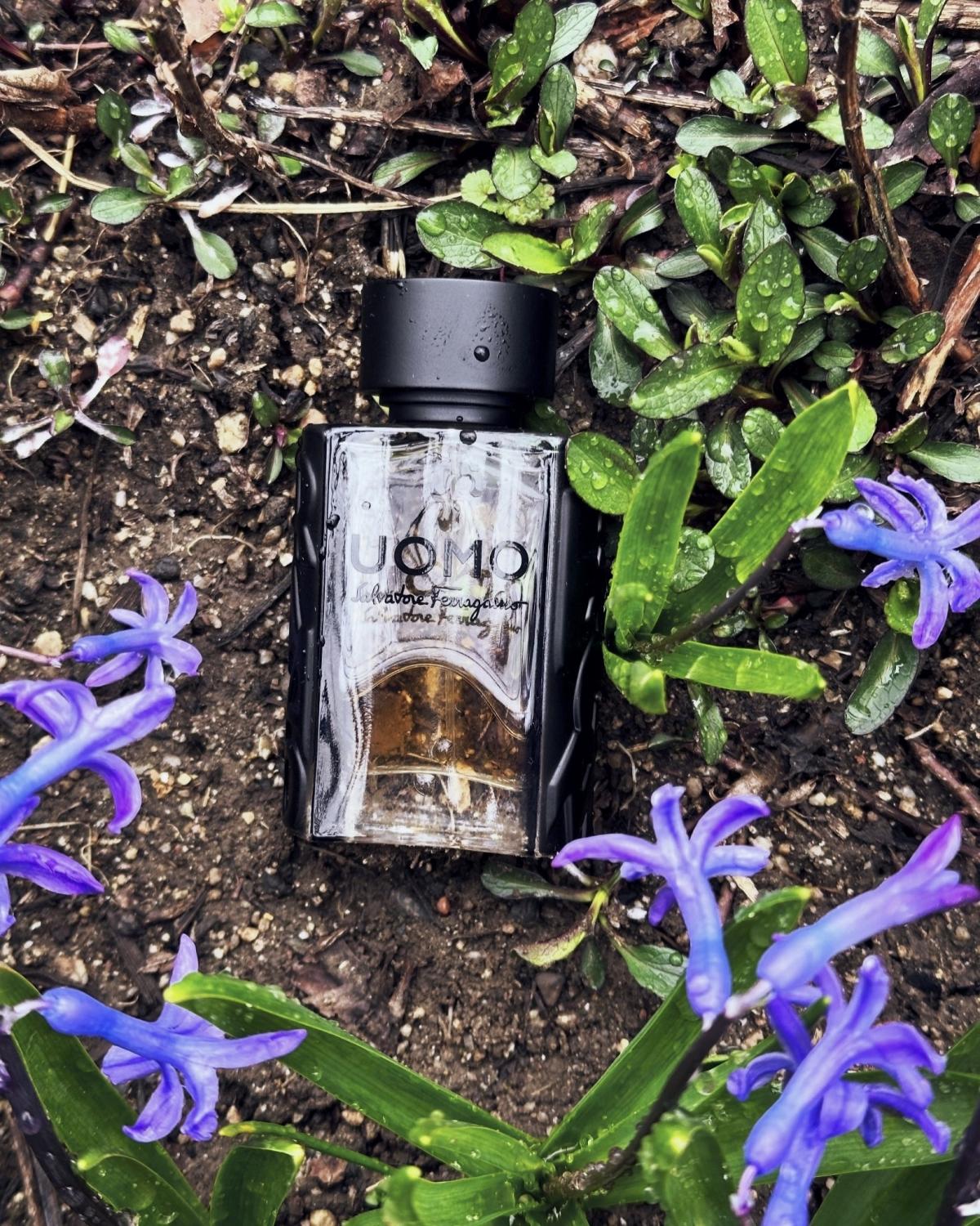 Uomo Salvatore Ferragamo Salvatore Ferragamo Kolonjska voda - parfem za ...