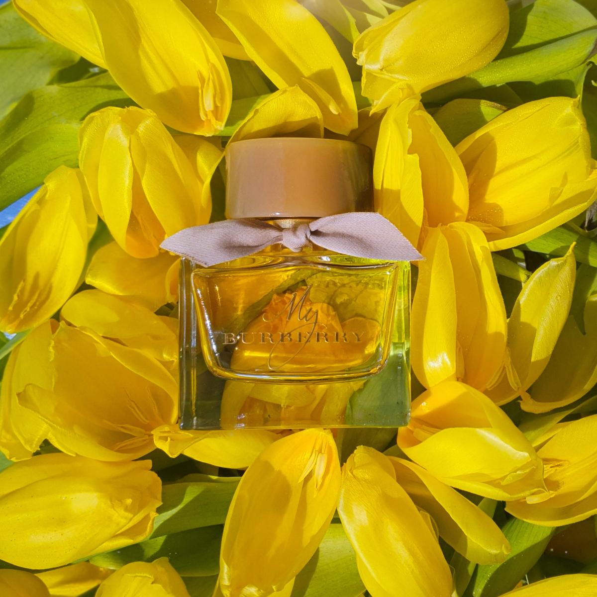 My Burberry Burberry Parfum - ein es Parfum für Frauen 2014