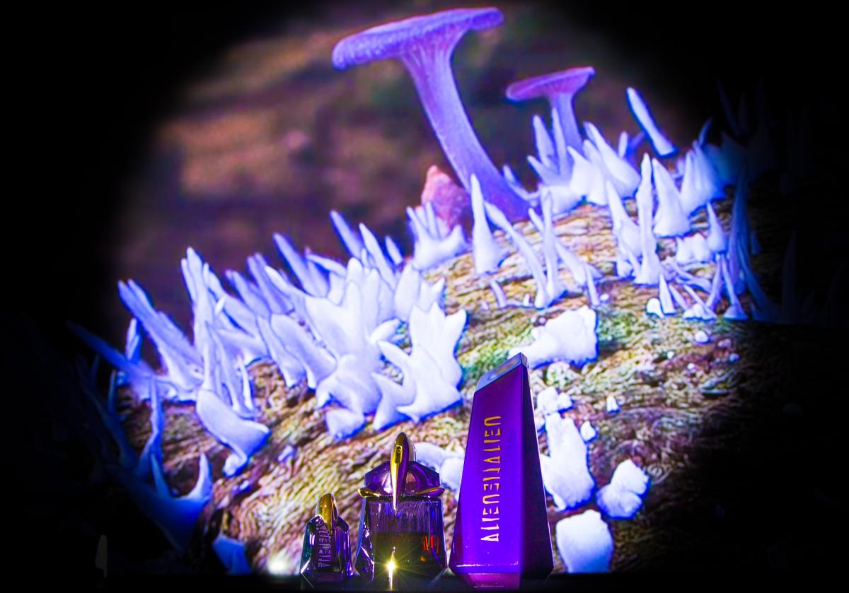 Alien Mugler άρωμα - ένα άρωμα για γυναίκες 2005