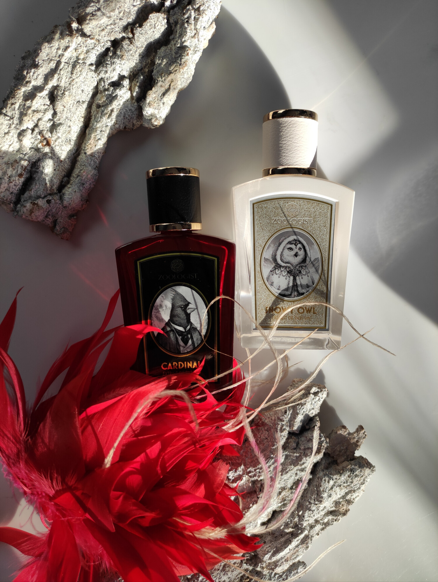 Northern Cardinal Zoologist Perfumes Parfum - ein neues Parfum für ...