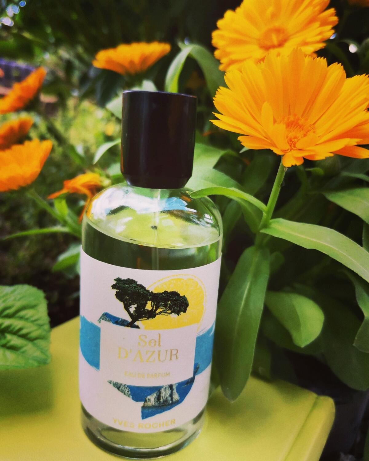 Sel d'Azur Yves Rocher fragancia - una fragancia para Hombres y Mujeres ...
