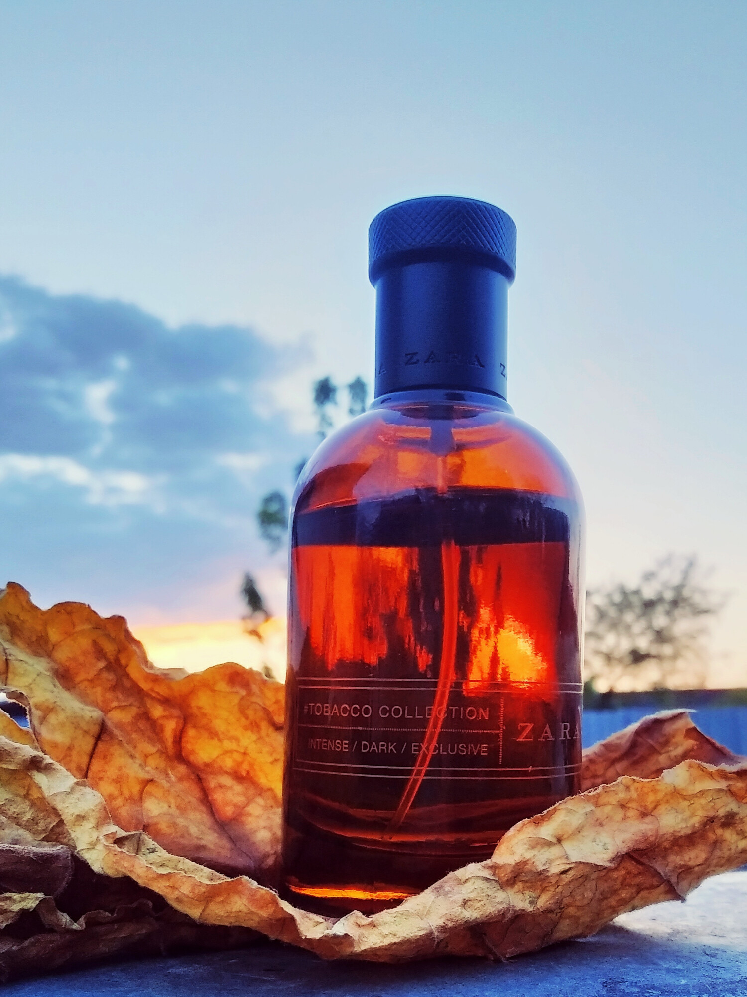 Tobacco Collection Rich Warm Addictive Zara κολόνια - ένα άρωμα για ...