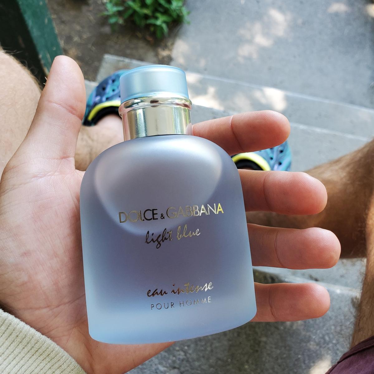 Light Blue Eau Intense Pour Homme Dolce&Gabbana Cologne - un parfum ...