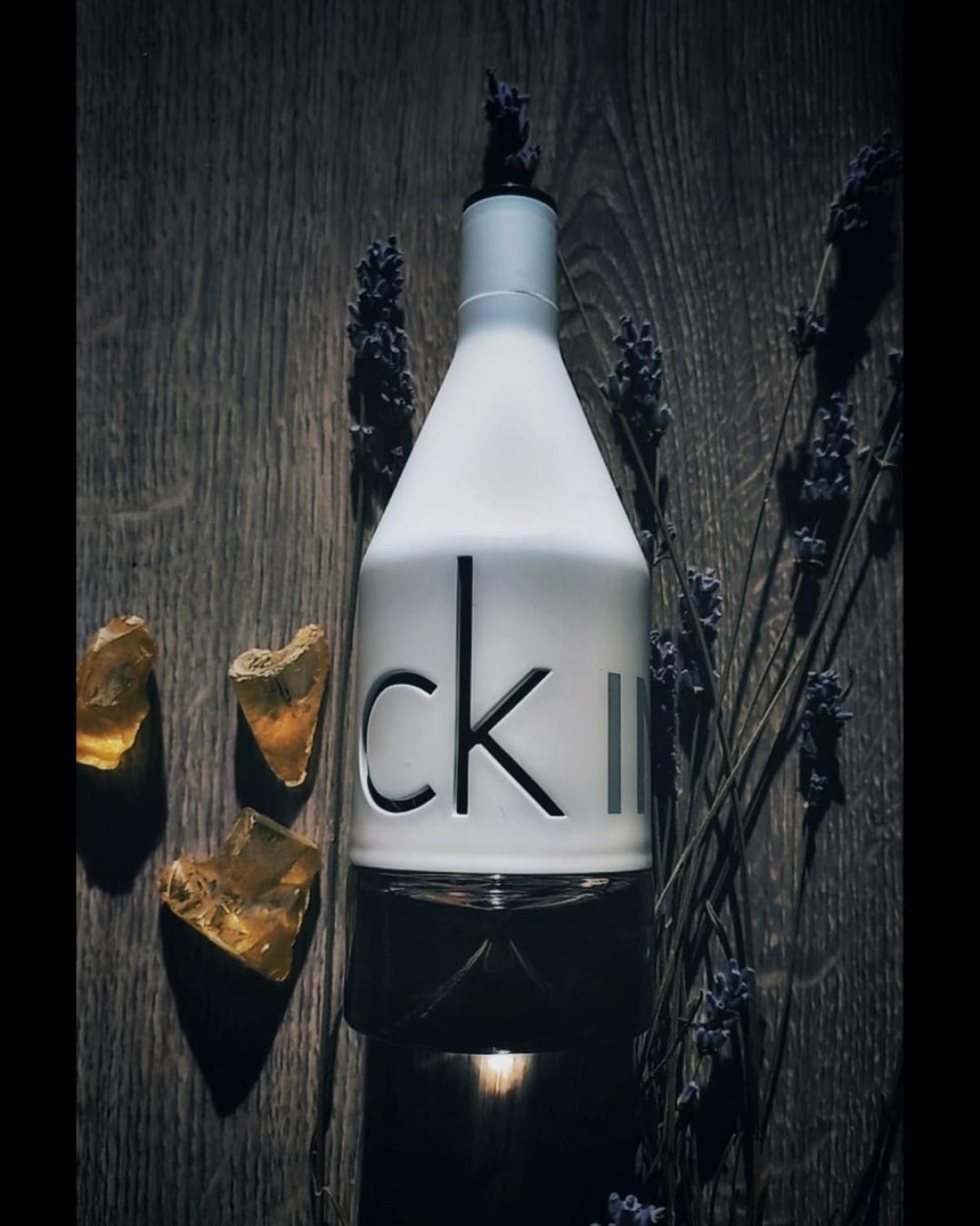CK IN2U for Him Calvin Klein Cologne - ein es Parfum für Männer 2007