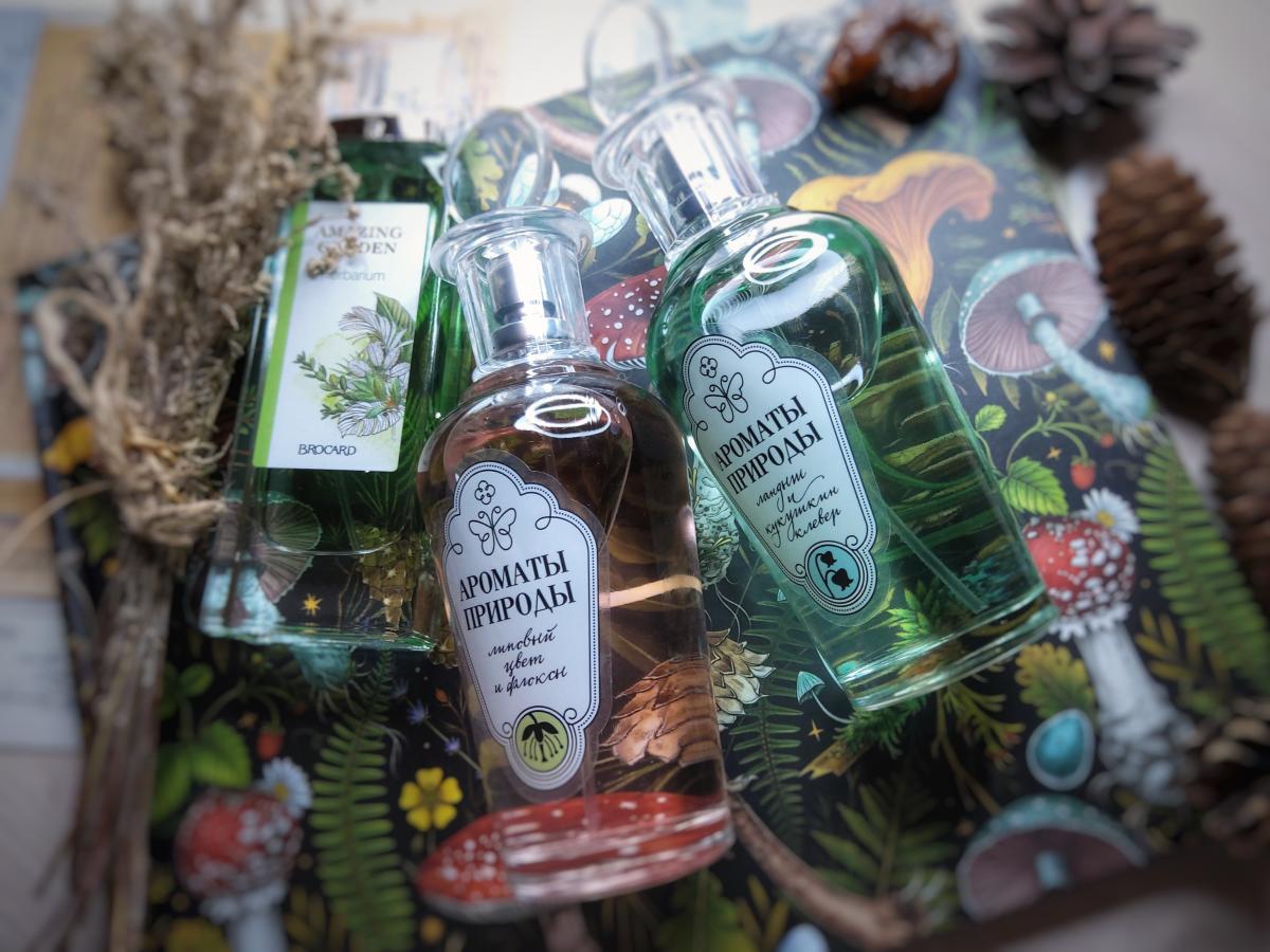 Herbarium Brocard perfume - a novo fragrância Compartilhável 2022