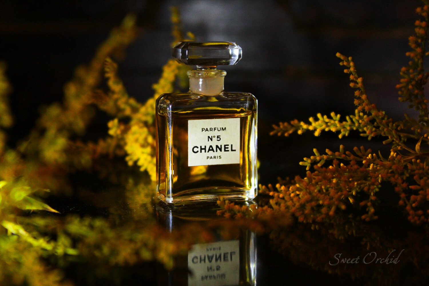 Chanel No 5 Parfum Chanel fragancia - una fragancia para Mujeres 1921