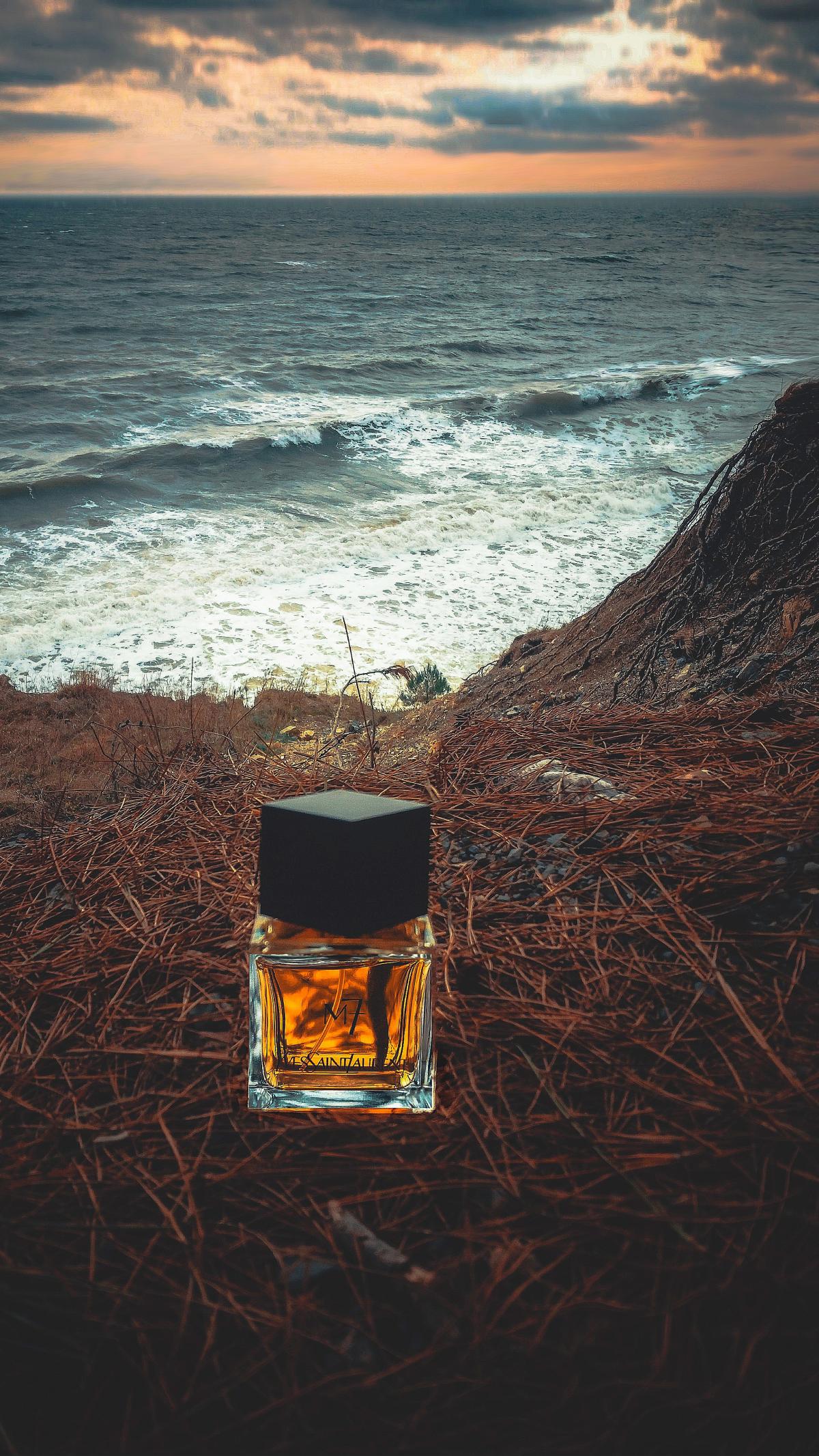 M7 Yves Saint Laurent Cologne - un parfum pour homme 2002