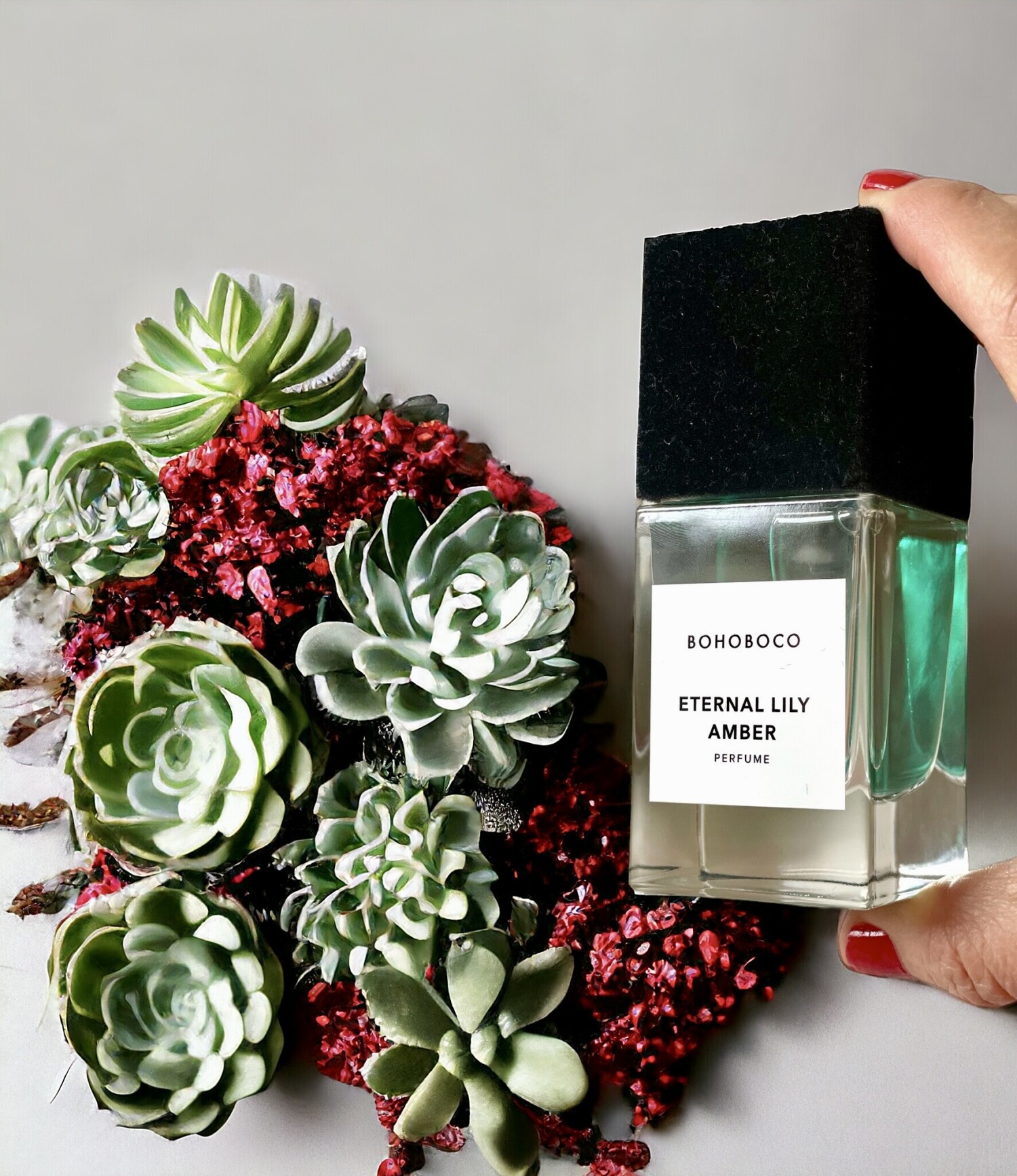 Eternal Lily Amber Bohoboco parfum - un nouveau parfum pour homme et ...