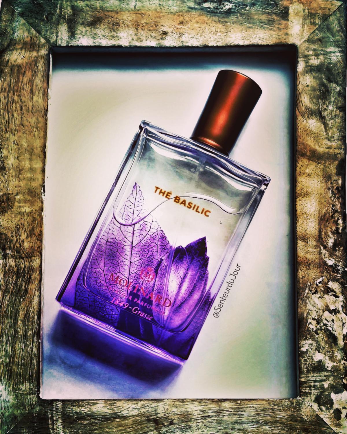 Thé Basilic Molinard аромат — аромат для мужчин и женщин 2019