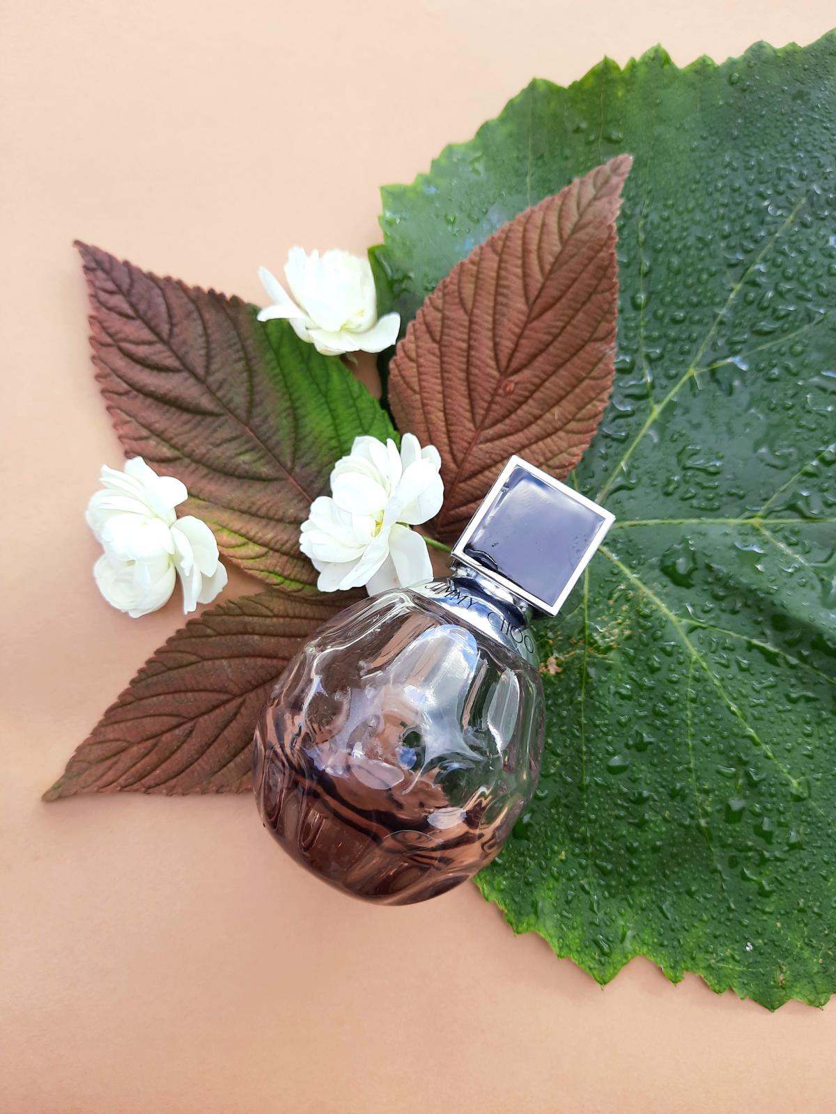 Jimmy Choo Jimmy Choo perfumy - to perfumy dla kobiet 2011