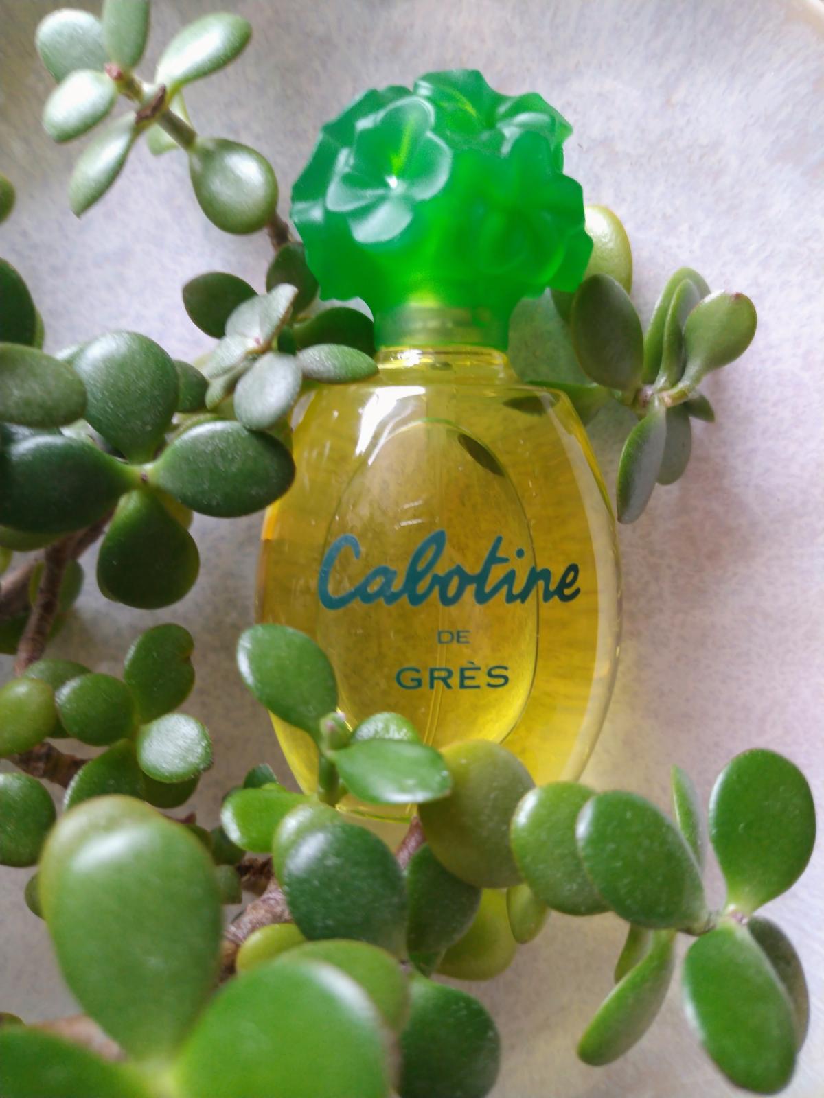 Cabotine Grès fragancia - una fragancia para Mujeres 1990