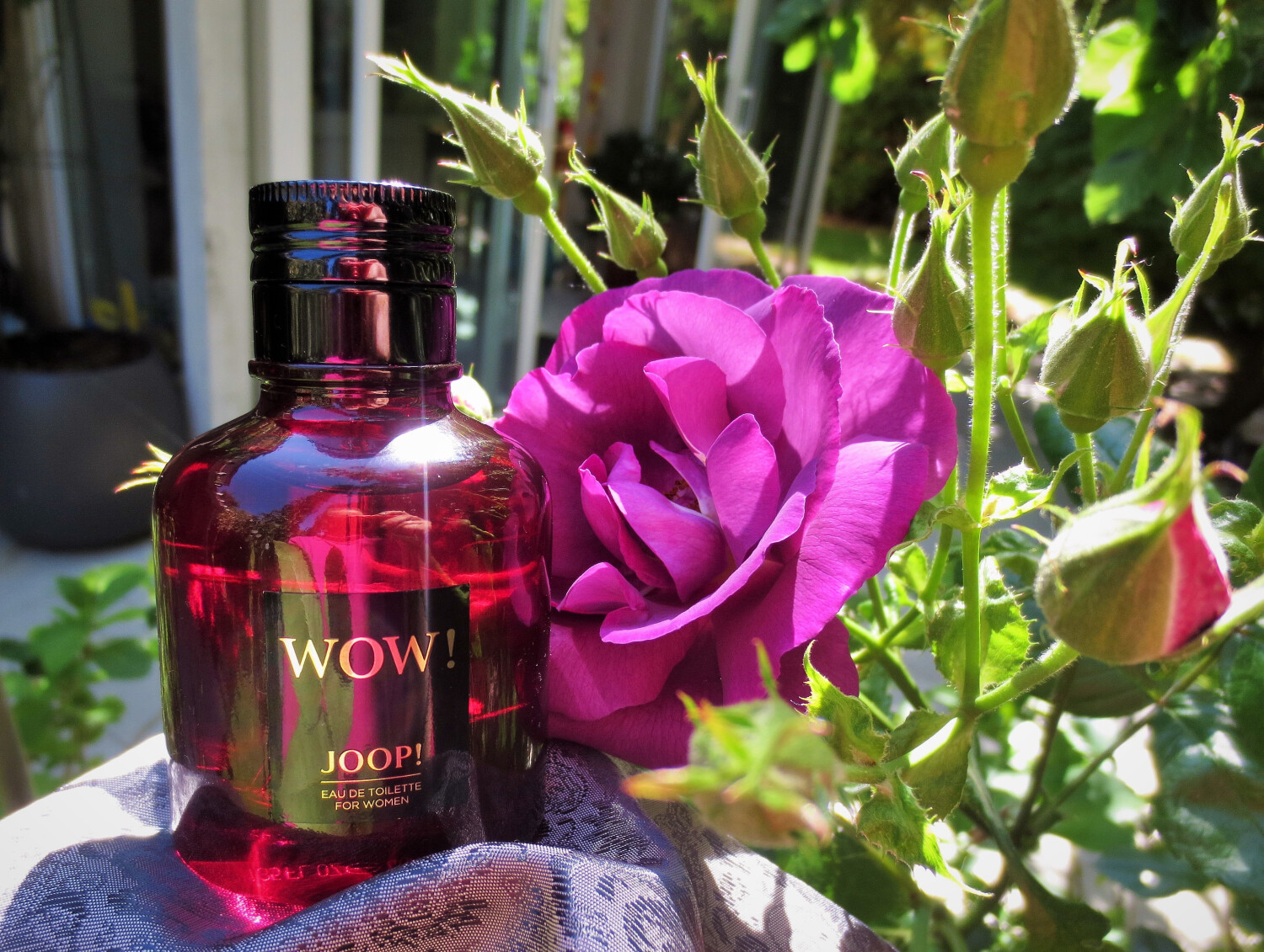 Wow! for Women Joop! perfume - a fragrância Feminino 2018