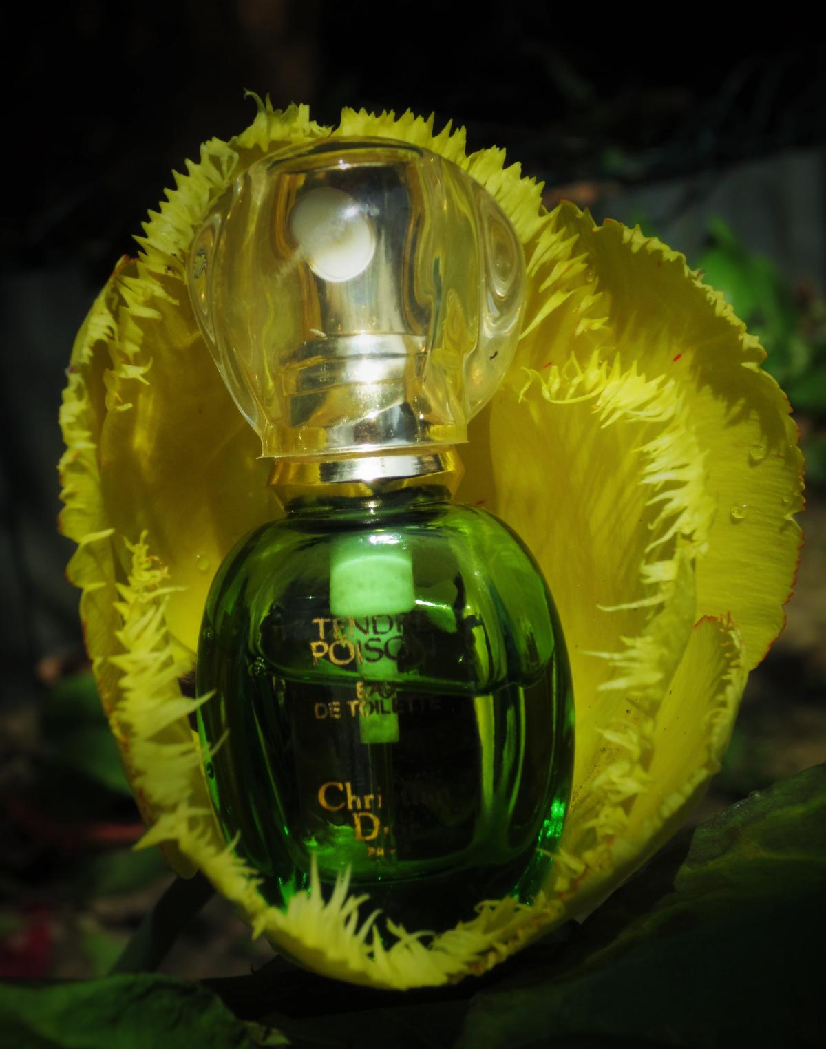 Tendre Poison Dior perfume - a fragrância Feminino 1994