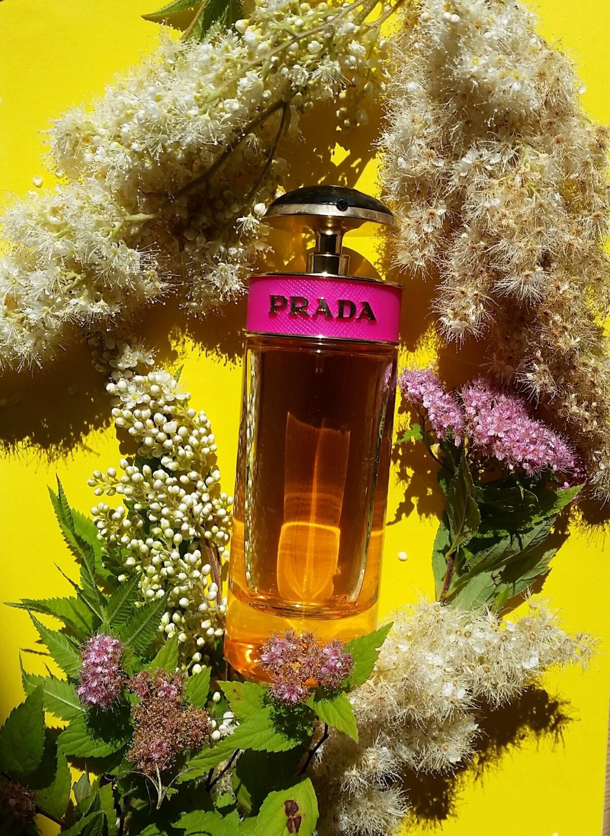 Prada Candy Prada parfem - parfem za žene 2011