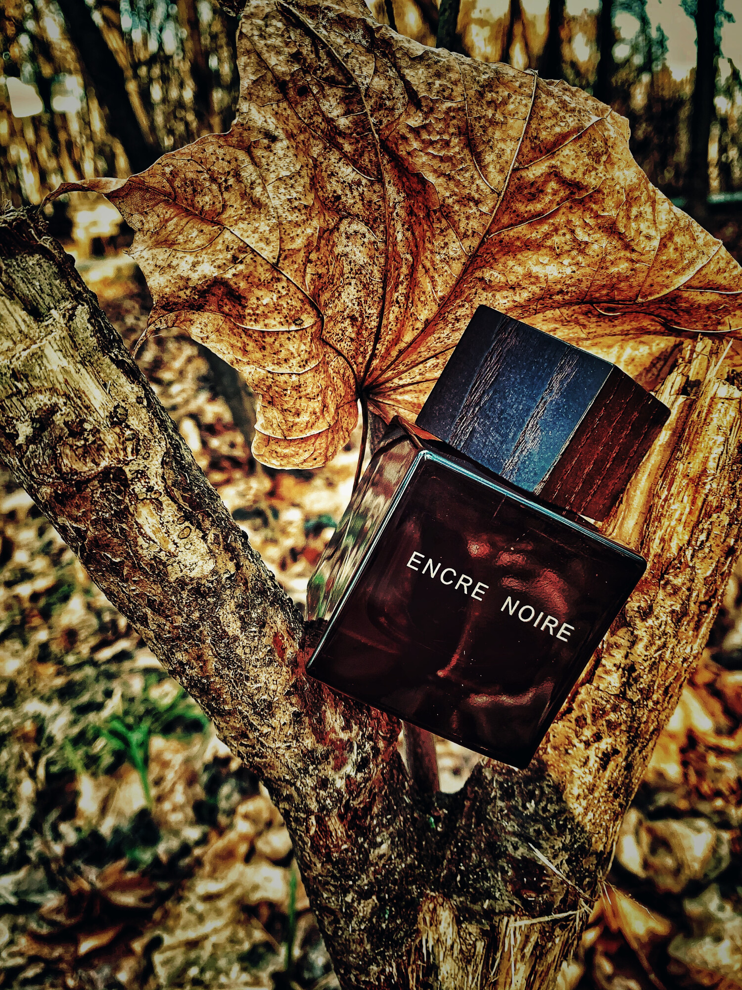Encre Noire Lalique Cologne - un parfum pour homme 2006