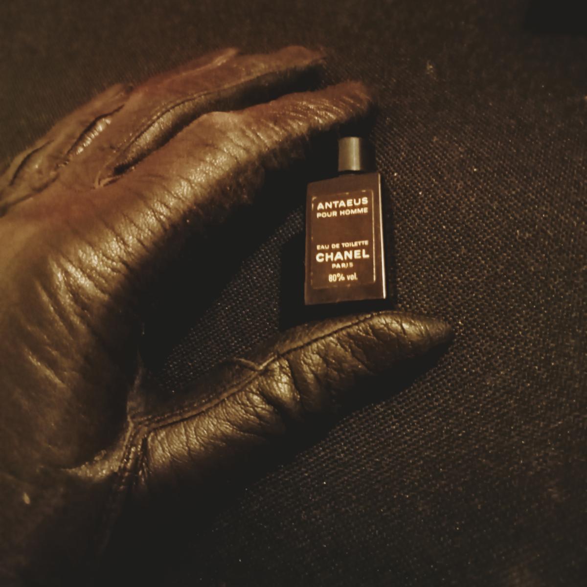 Antaeus Chanel Colônia - a fragrância Masculino 1981
