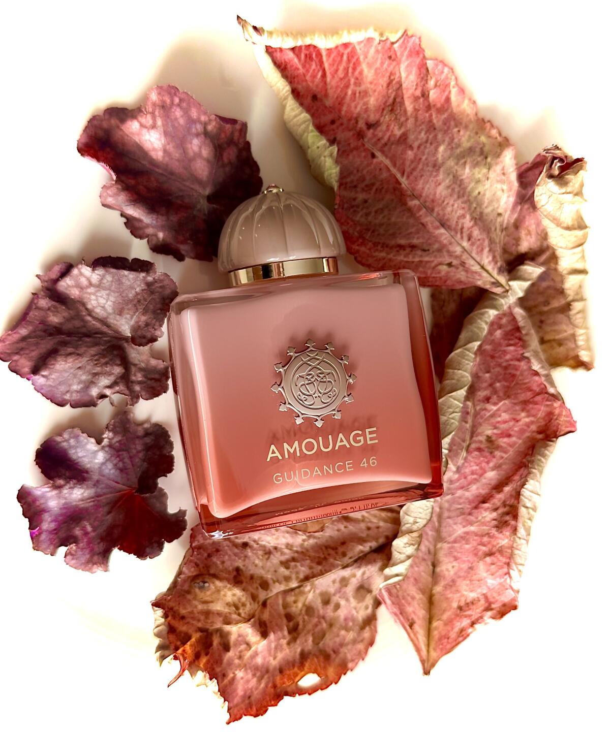 Guidance 46 Amouage parfum - un nou parfum unisex 2024
