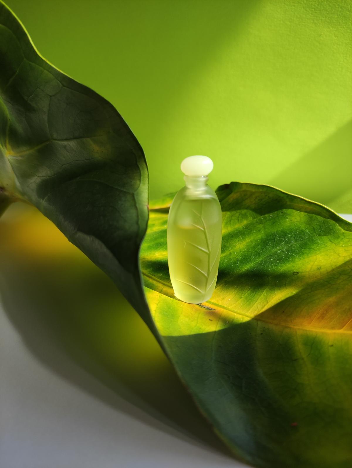 Nature Yves Rocher perfume - a fragrância Feminino 1993