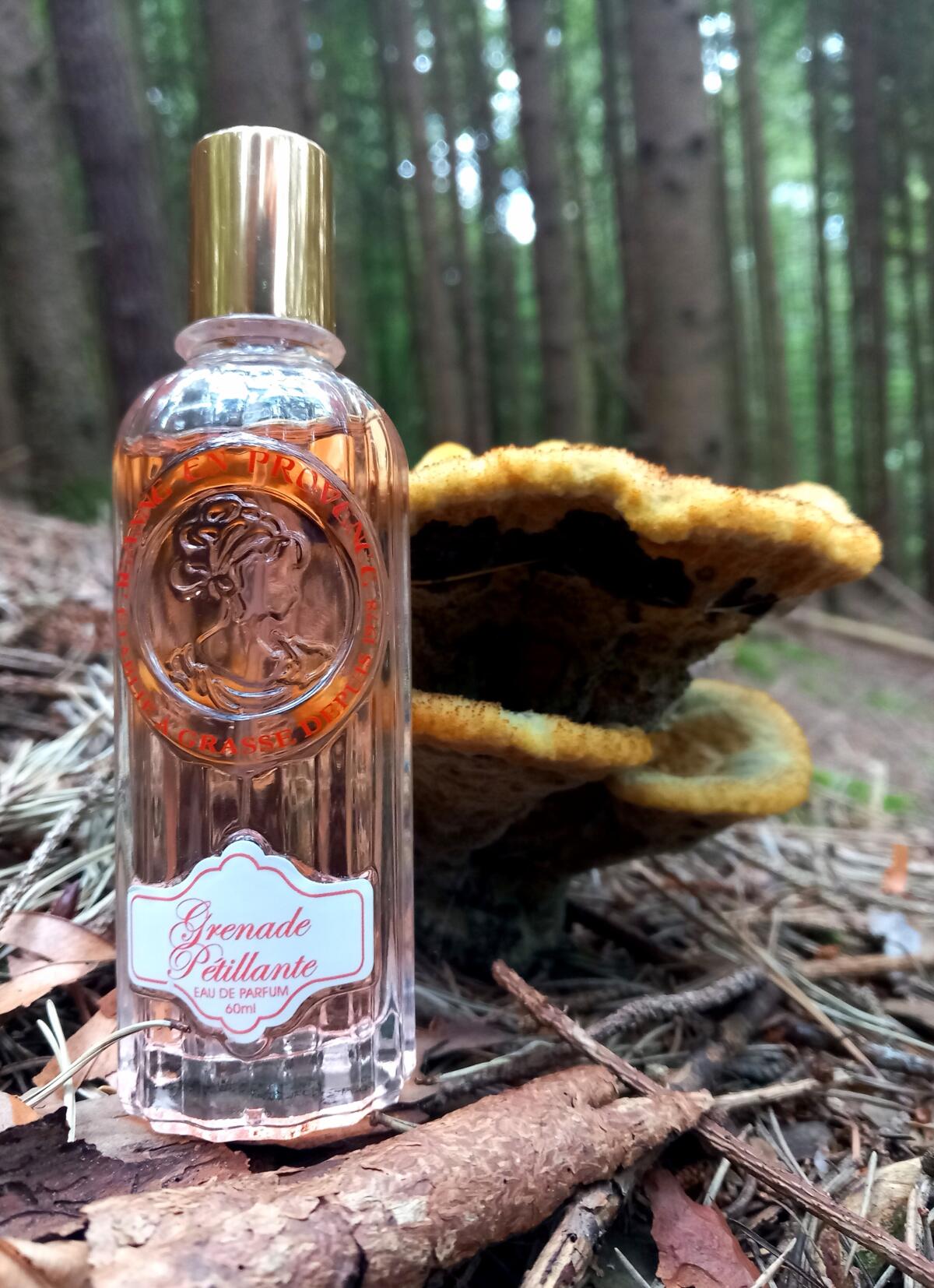 Grenade Petillante Jeanne en Provence parfum - un nouveau parfum pour ...