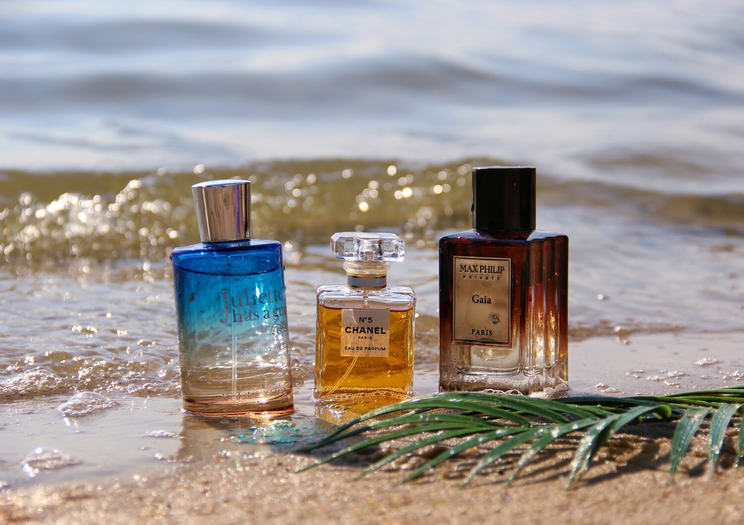Gaia Max Philip parfum - un nouveau parfum pour homme et femme 2023