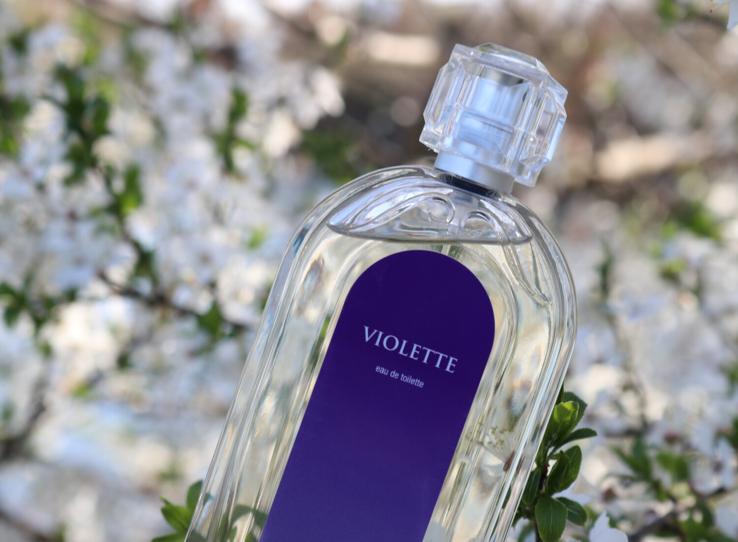 Les Fleurs Violette Molinard parfum - un parfum pour femme 1994