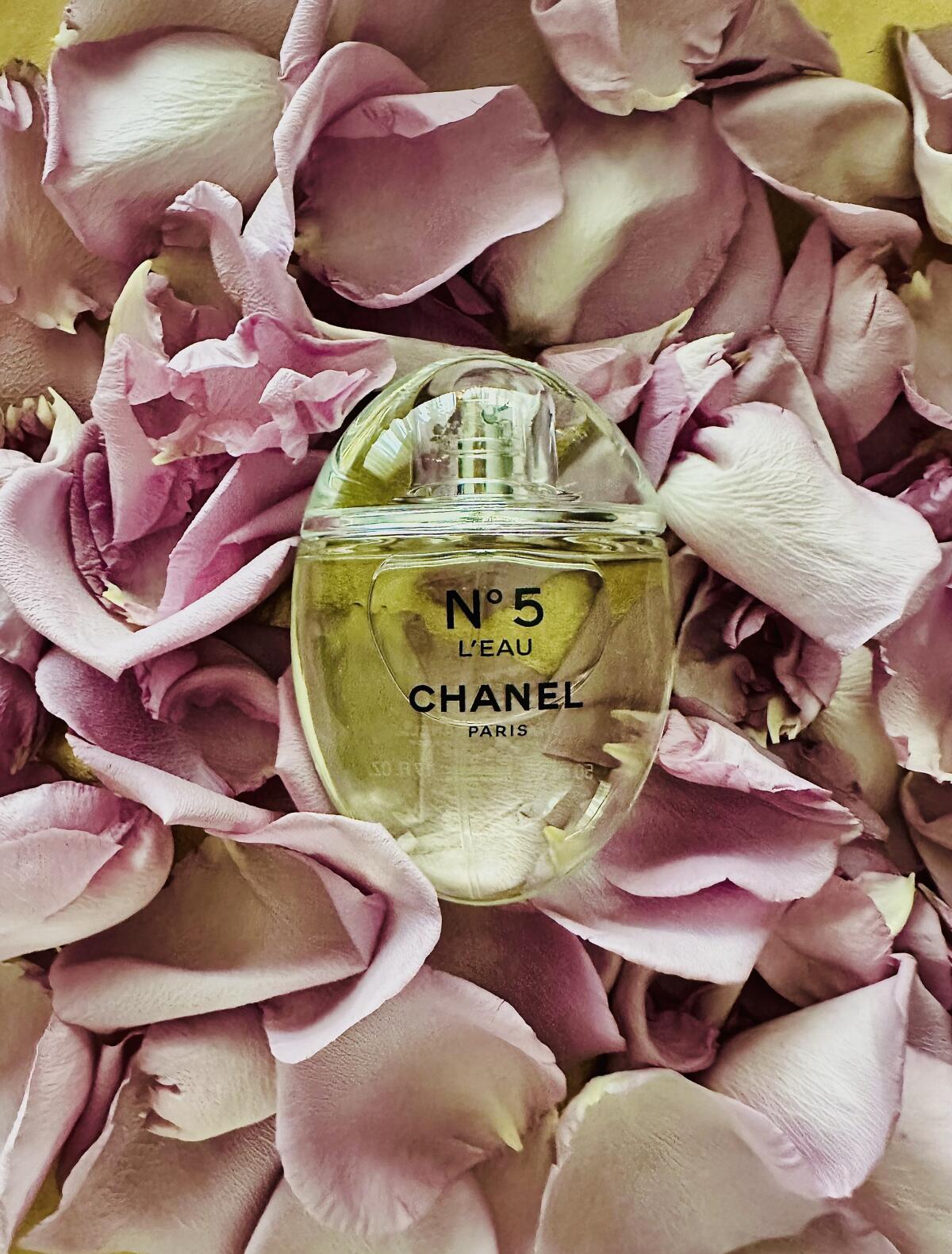 N°5 L’EAU – Limited edition Chanel perfume - a novo fragrância Feminino 2024