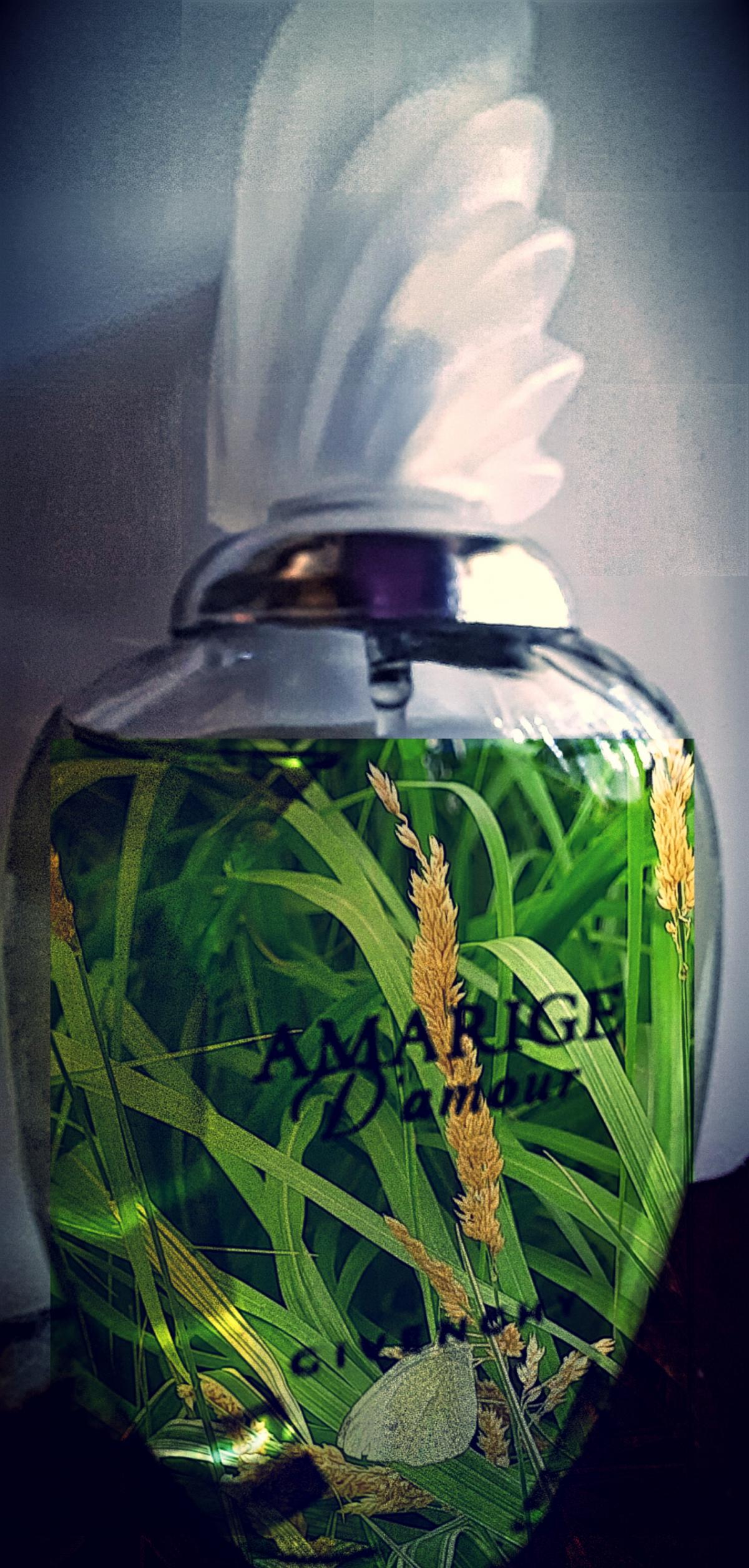 Amarige D'Amour Givenchy عطر - a fragrance للنساء 2003