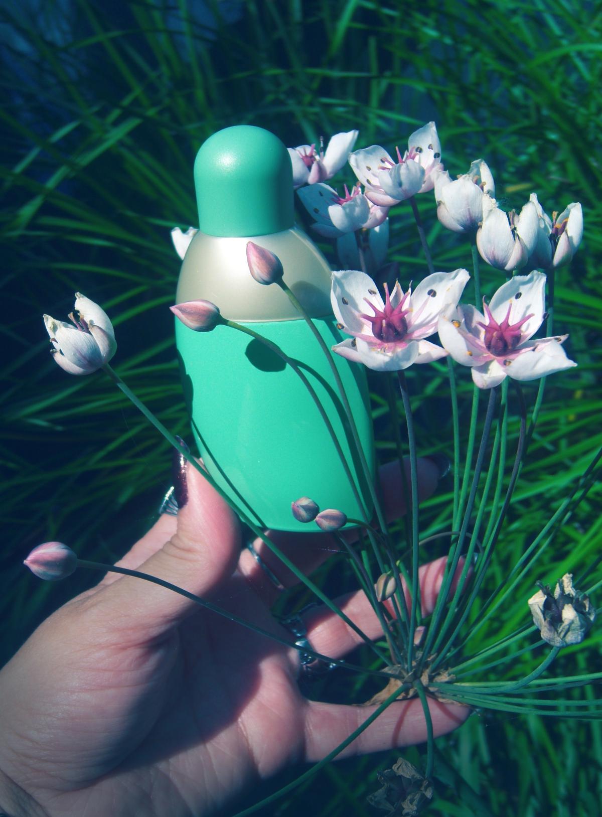 Eden Cacharel аромат — аромат для женщин 1994