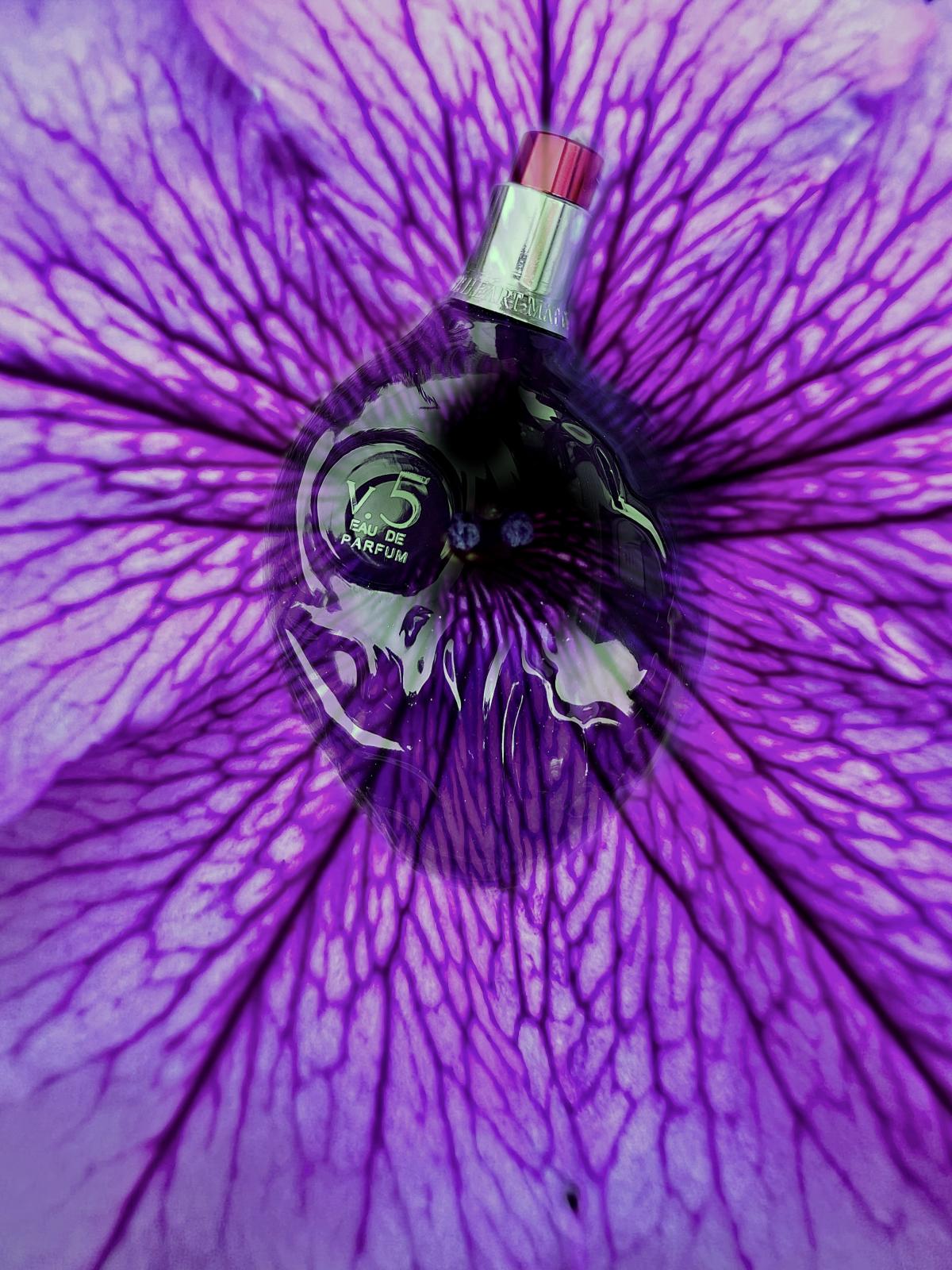 Purple Heart V 5 Map Of The Heart perfumy - to perfumy dla kobiet 2016