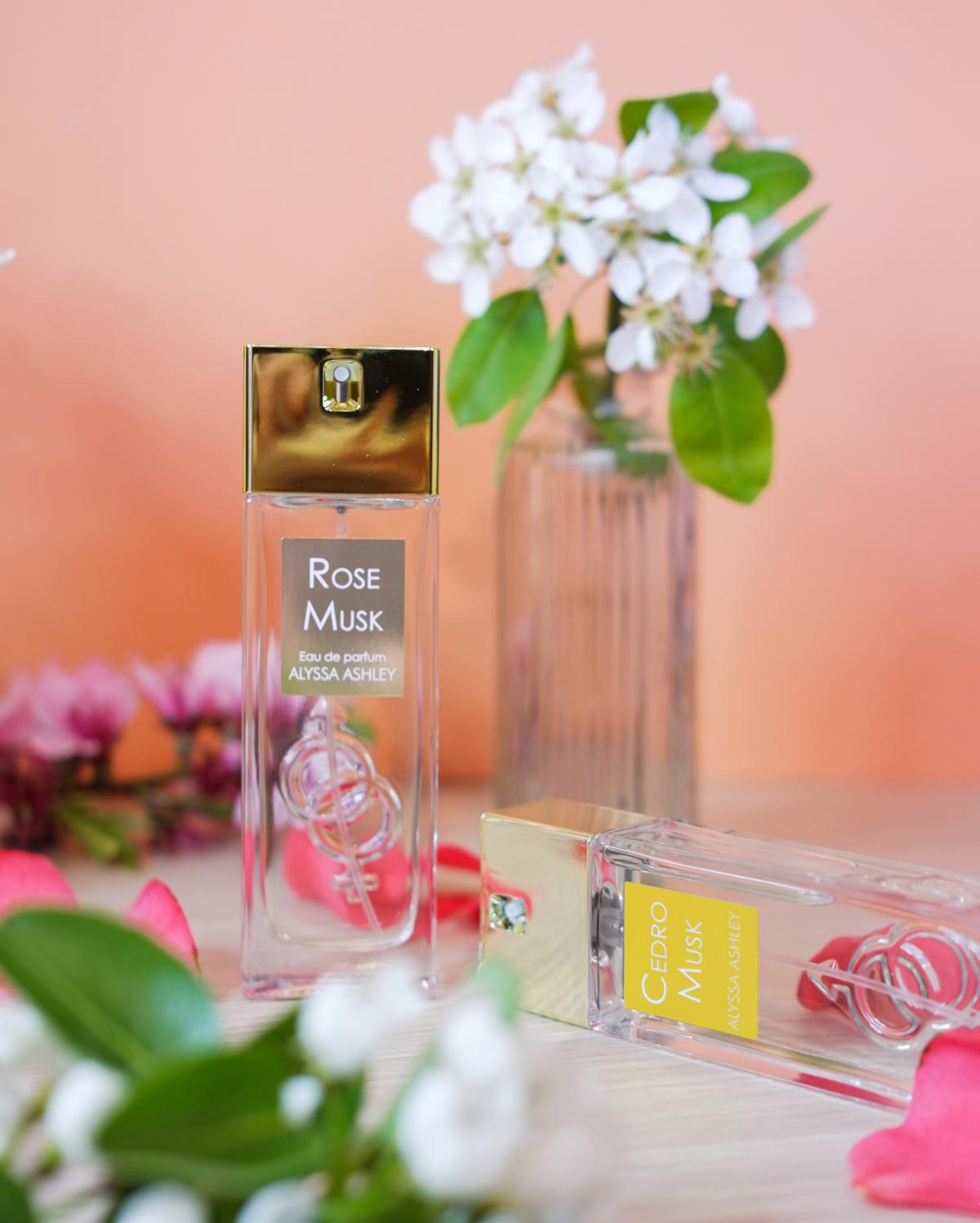 Cedro Musk Eau de Parfum Alyssa Ashley fragancia - una nuevo fragancia ...