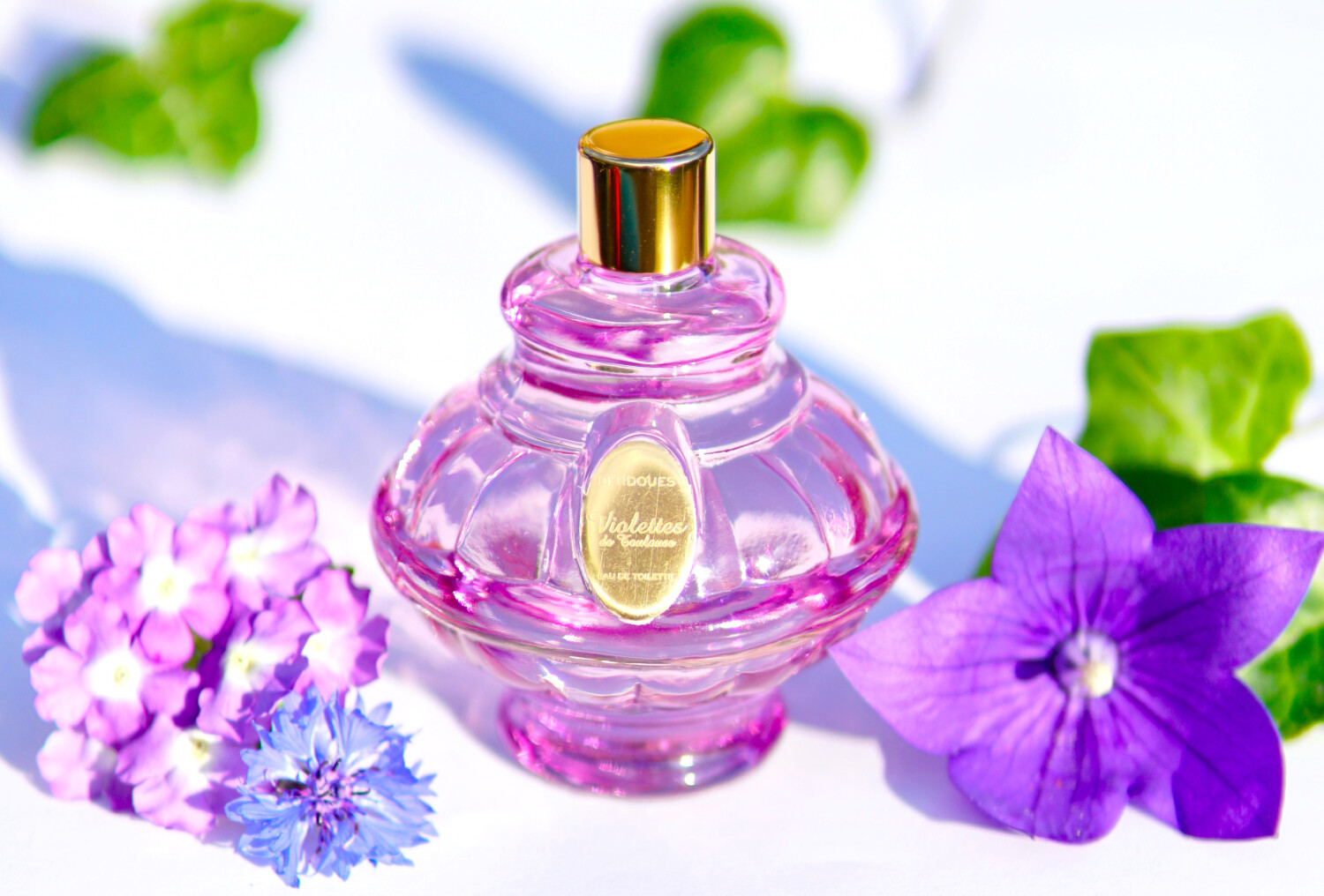 Violettes de Toulouse Eau de Parfum Parfums Berdoues perfume - a ...