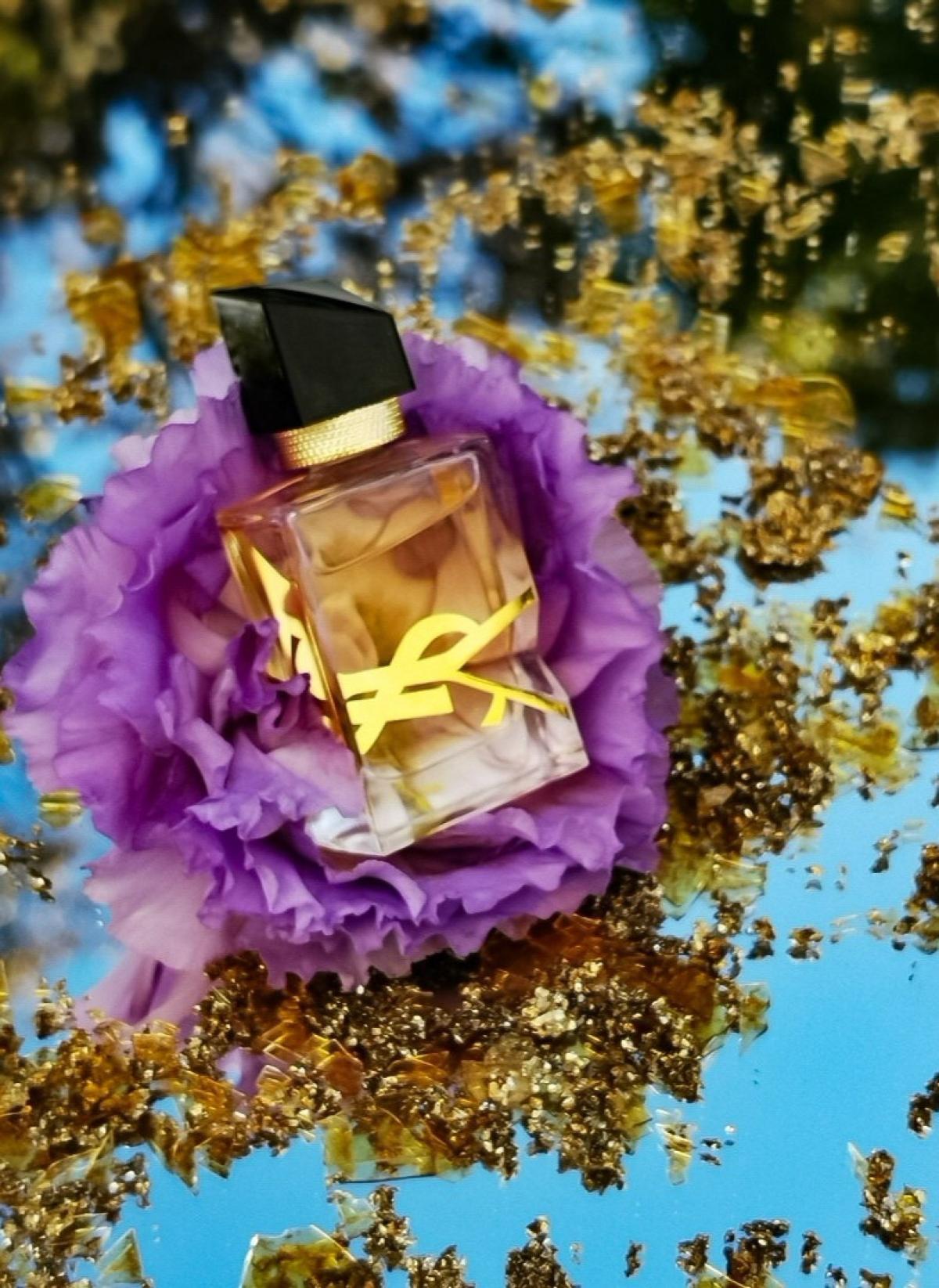 Libre Yves Saint Laurent parfum - un parfum pour femme 2019