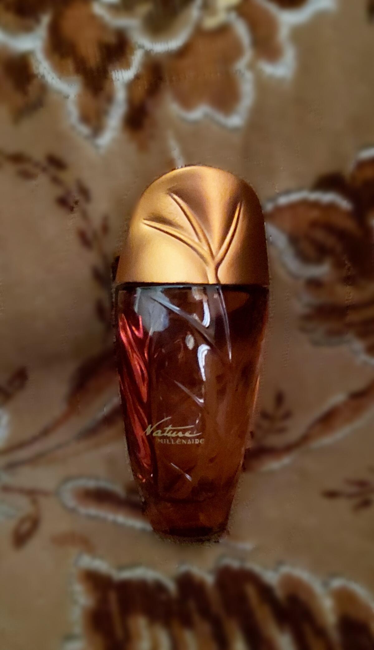 Nature Millenaire Yves Rocher Parfum - ein es Parfum für Frauen 2000