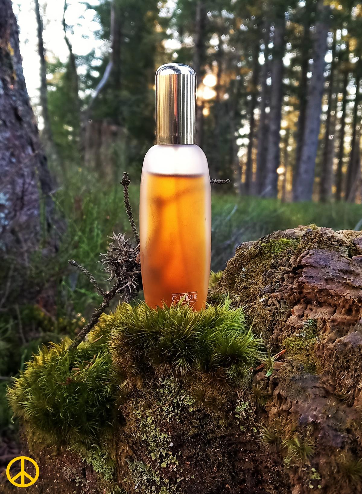 Aromatics Elixir Clinique perfume - a fragrância Feminino 1971