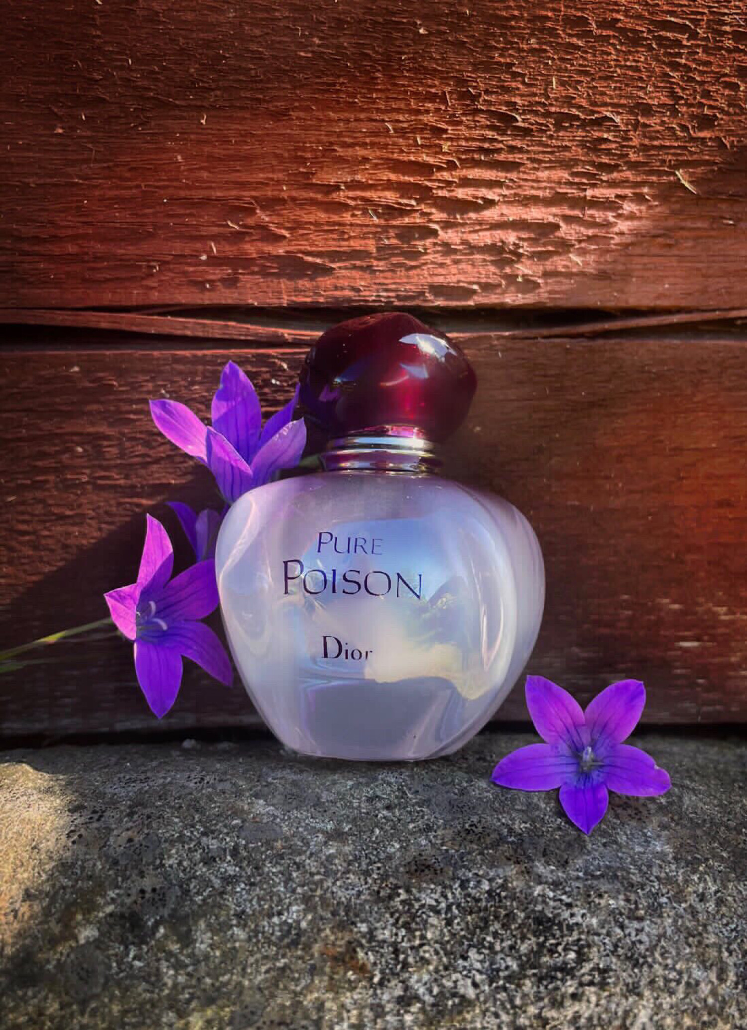 Pure Poison Dior аромат — аромат для женщин 2004