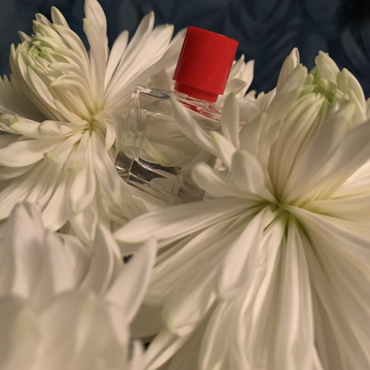 Mon Rouge Yves Rocher parfum - un parfum de dama 2020