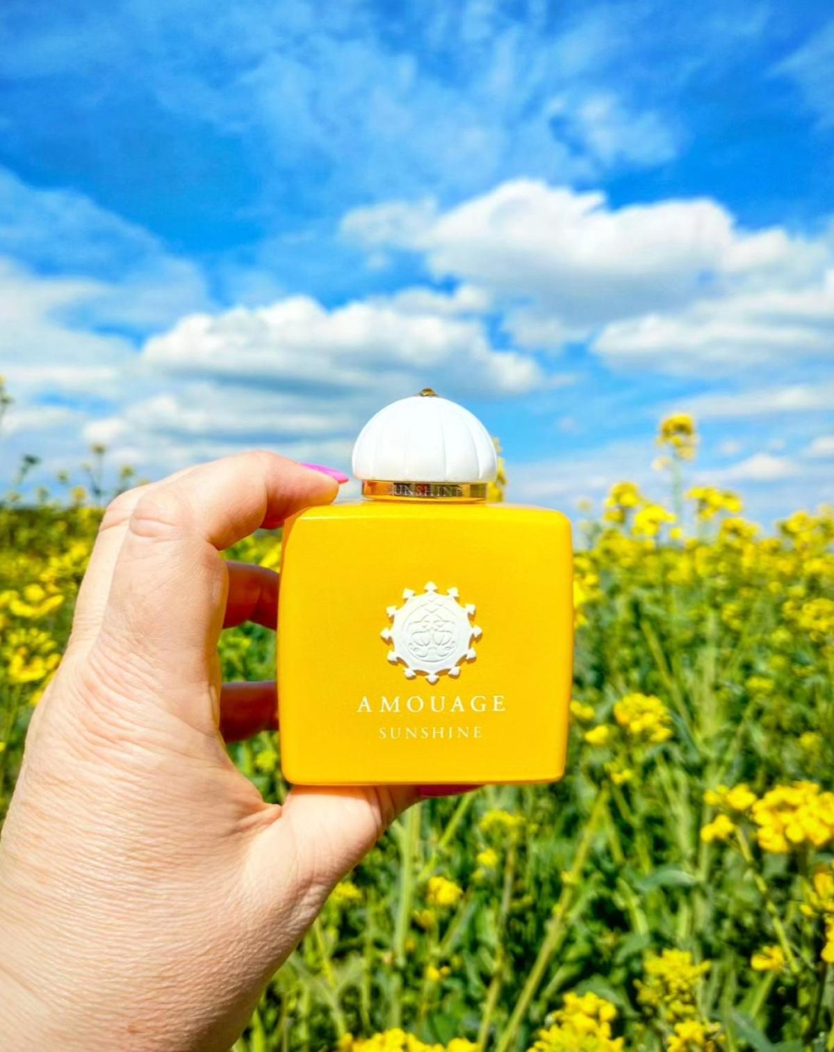 Sunshine Woman Amouage fragancia - una fragancia para Mujeres 2014