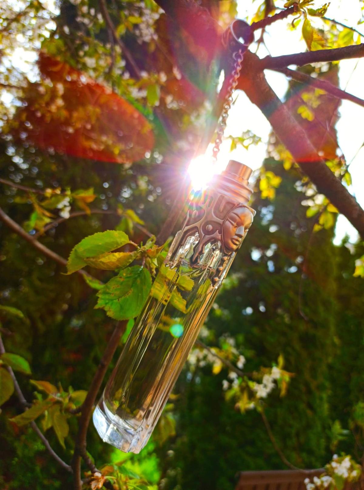 Womanity Mugler parfum - een geur voor dames 2010