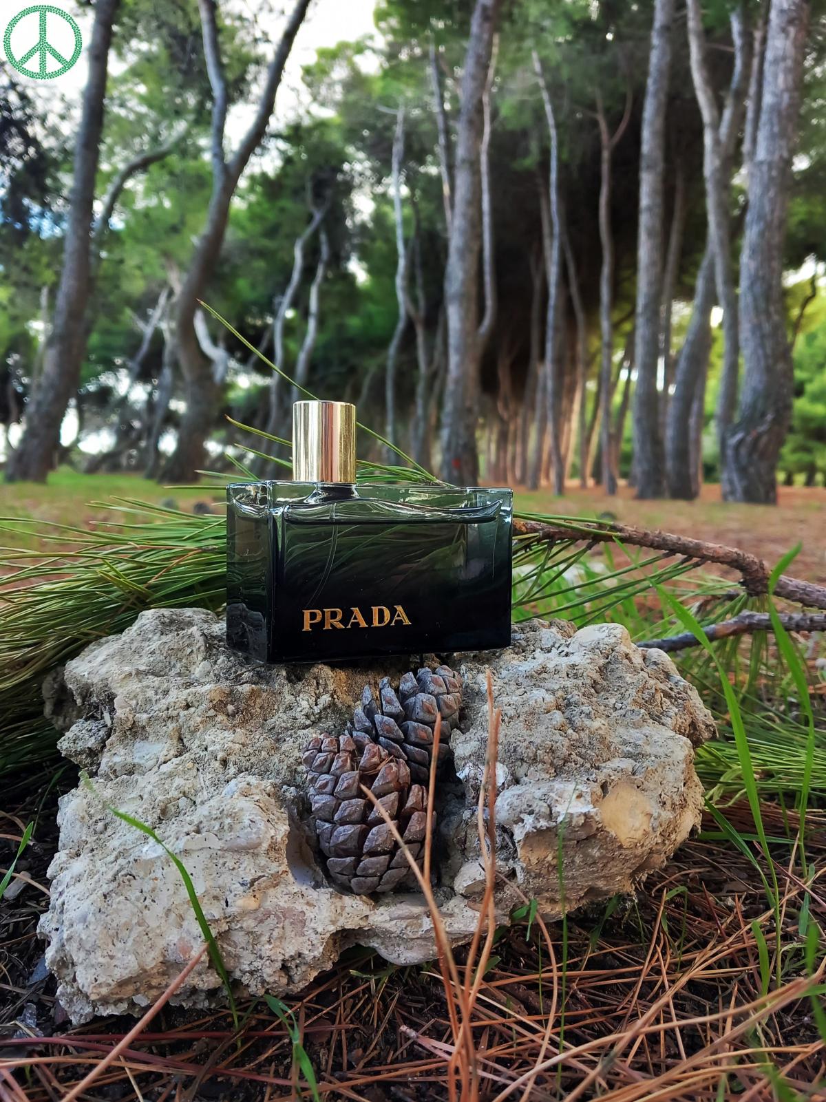 L'Eau Ambree Prada fragancia - una fragancia para Mujeres 2009