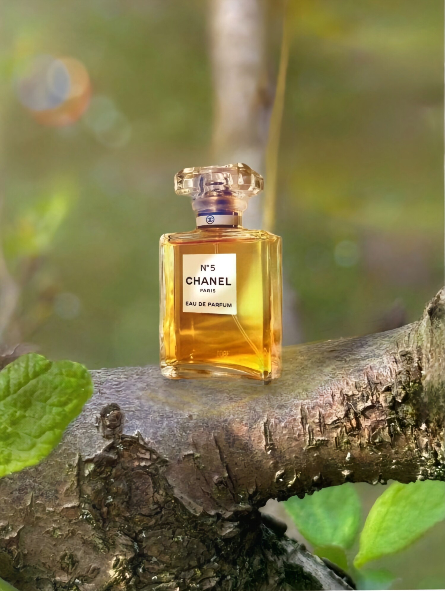 Chanel No 5 Eau de Parfum Chanel fragancia - una fragancia para Mujeres ...