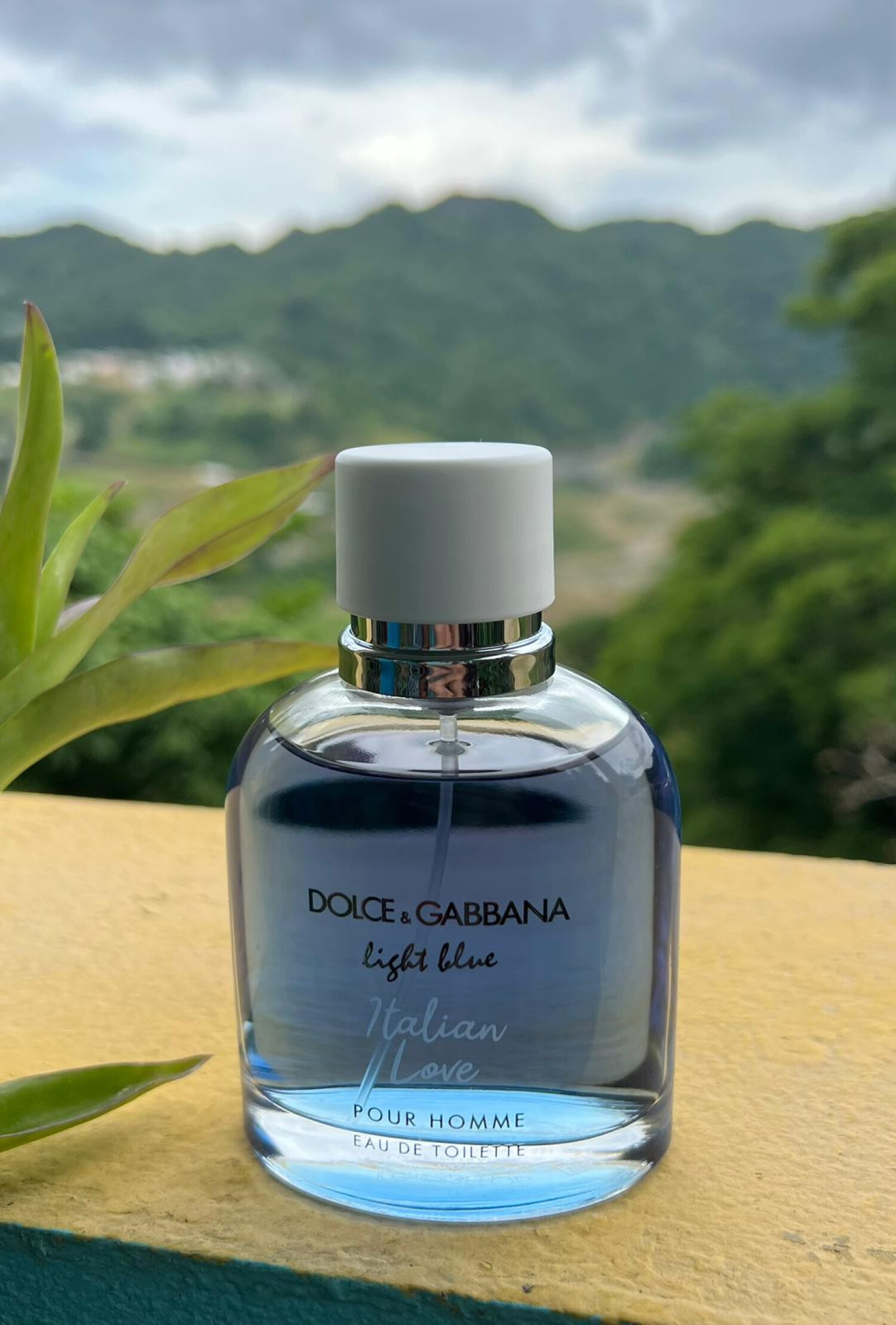 Light Blue pour Homme Italian Love Dolce&Gabbana Kolonjska voda - novi ...