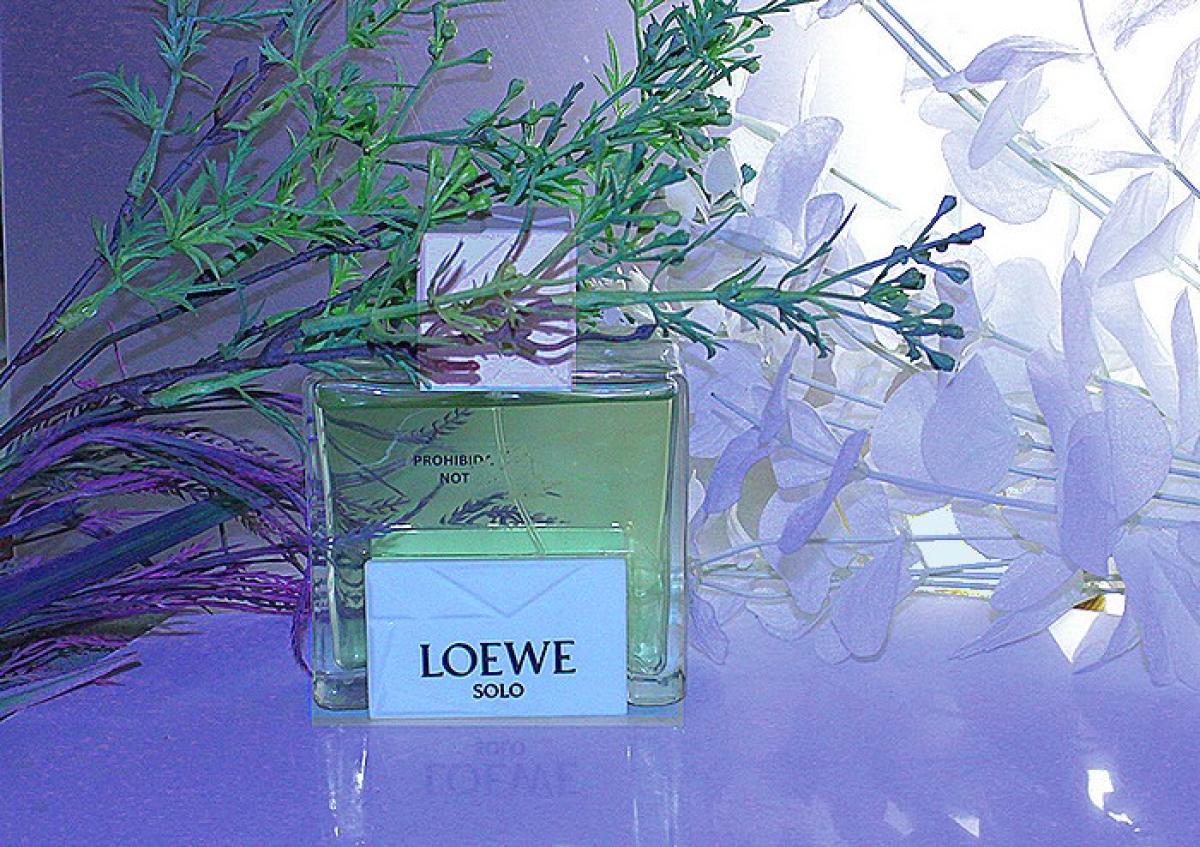 Solo Loewe Origami Loewe Colônia - a fragrância Masculino 2018