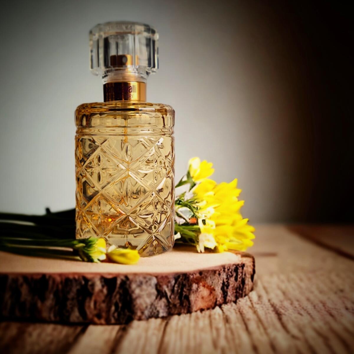 Florence Amber Roberto Cavalli parfem - parfem za žene 2019 Florence Amber Roberto Cavalli parfem - parfem za žene 2019