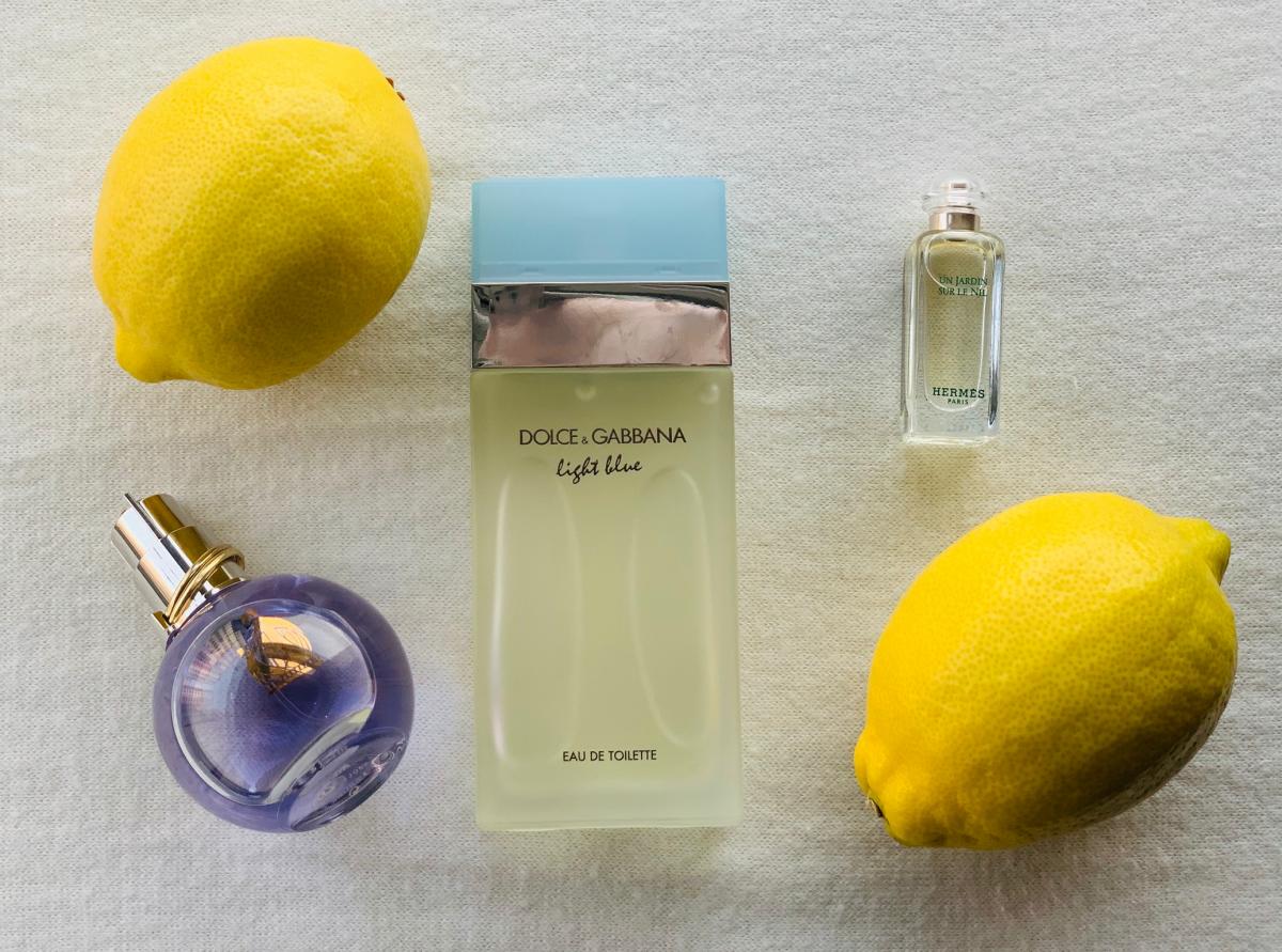 Light Blue Dolce&Gabbana parfem - parfem za žene 2001