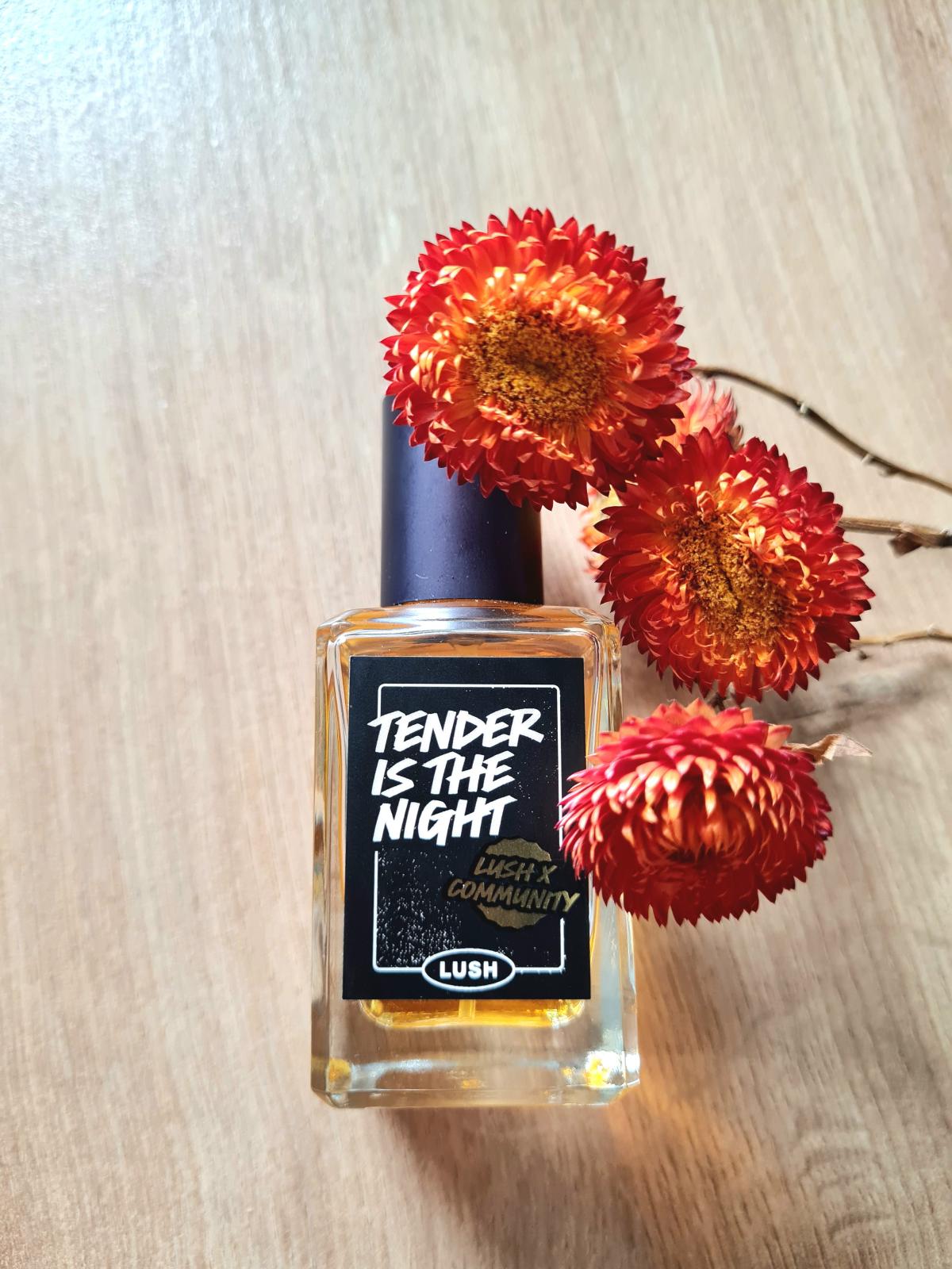 Tender is the Night Lush Parfum - ein neues Parfum für Frauen und ...