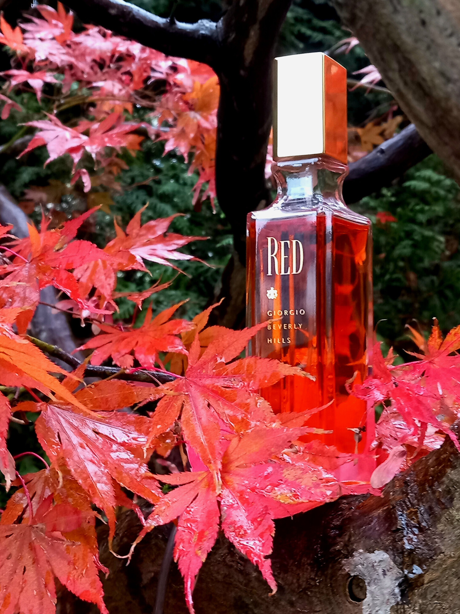 Red Giorgio Beverly Hills Parfum - ein es Parfum für Frauen 1989