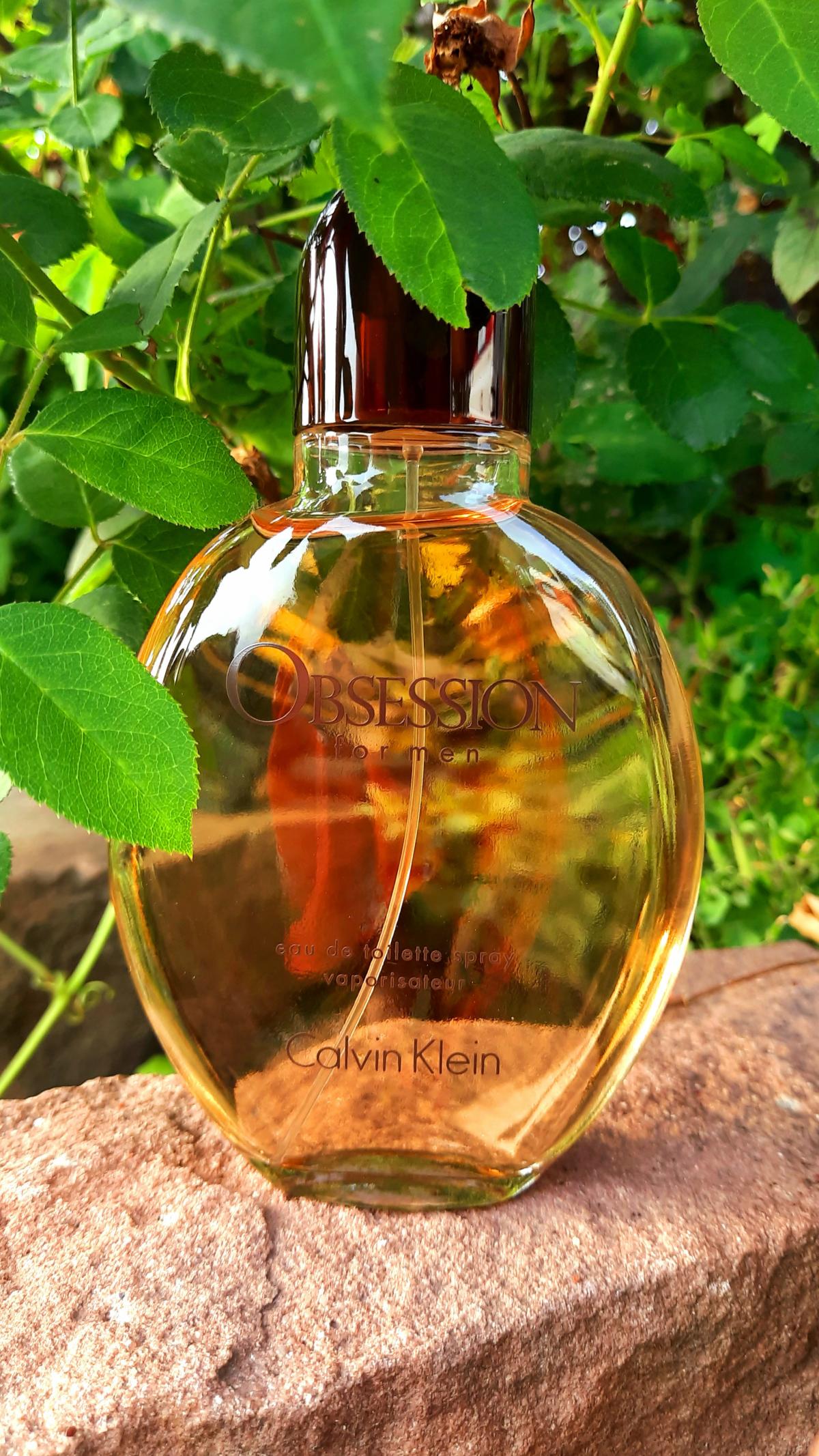 Obsession for Men Calvin Klein Cologne - un parfum pour homme 1986