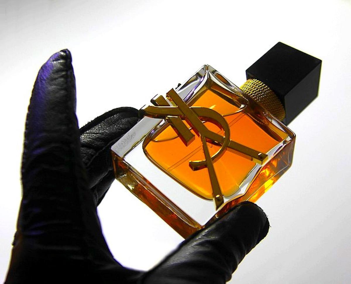 Libre Intense Yves Saint Laurent parfum - un parfum pour femme 2020