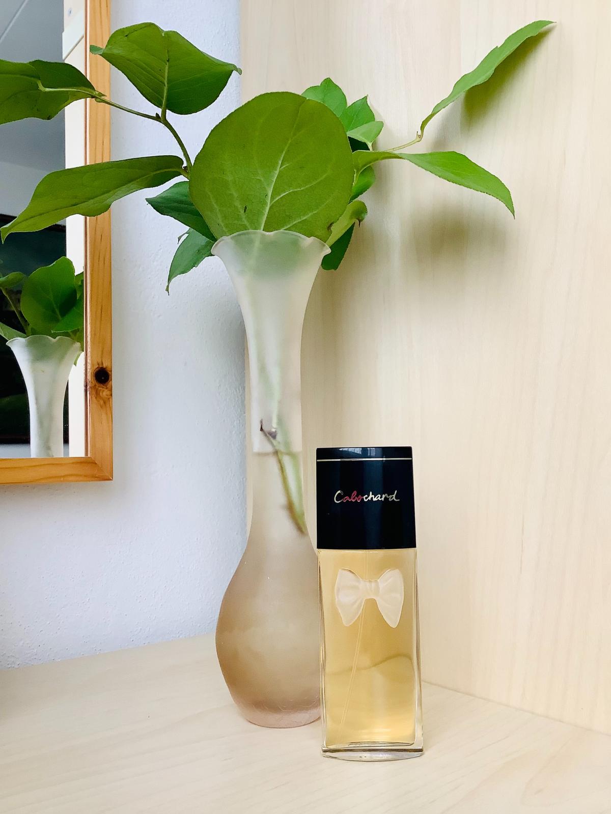 Cabochard Grès parfum - un parfum pour femme 1959