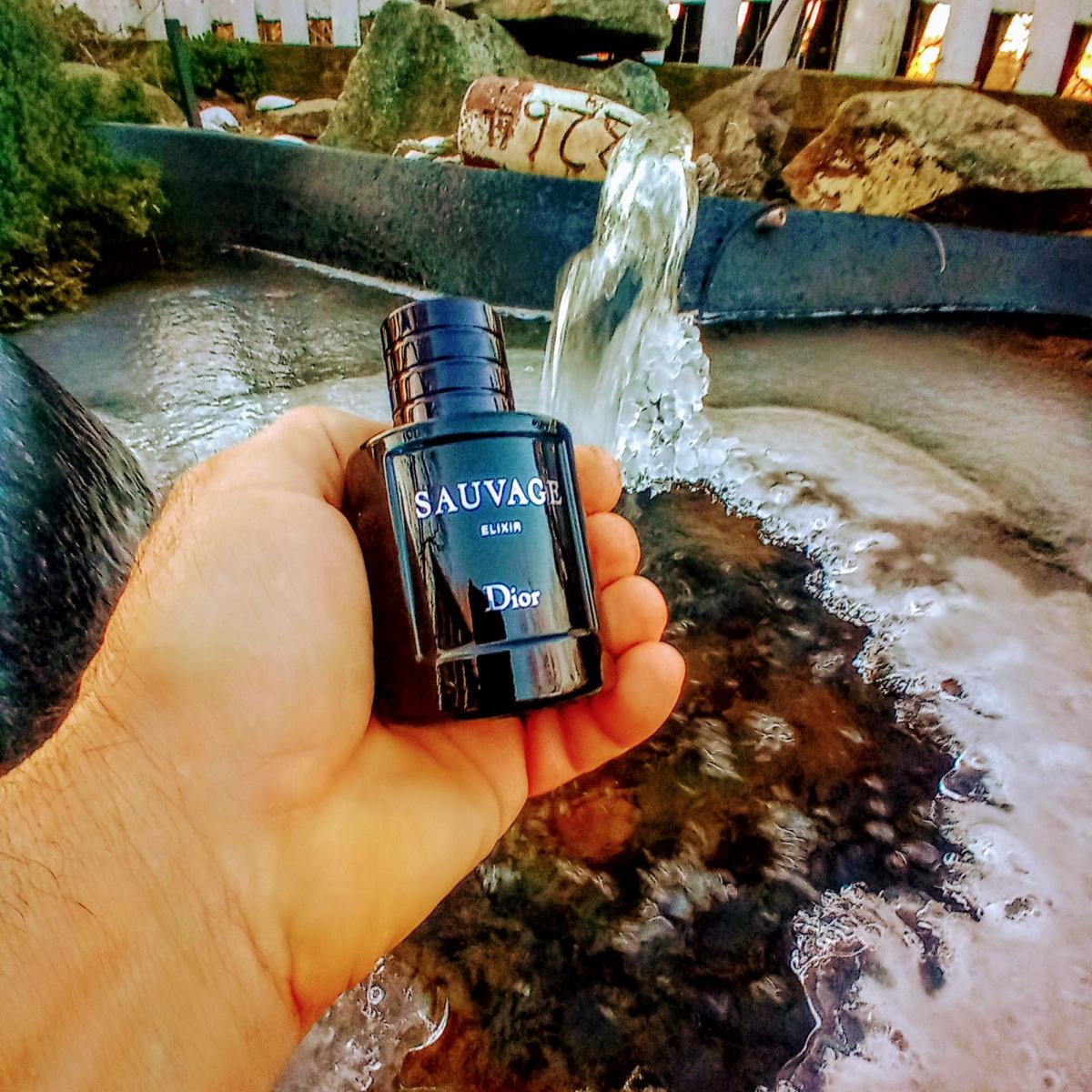 Sauvage Elixir Dior - una fragranza da uomo 2021